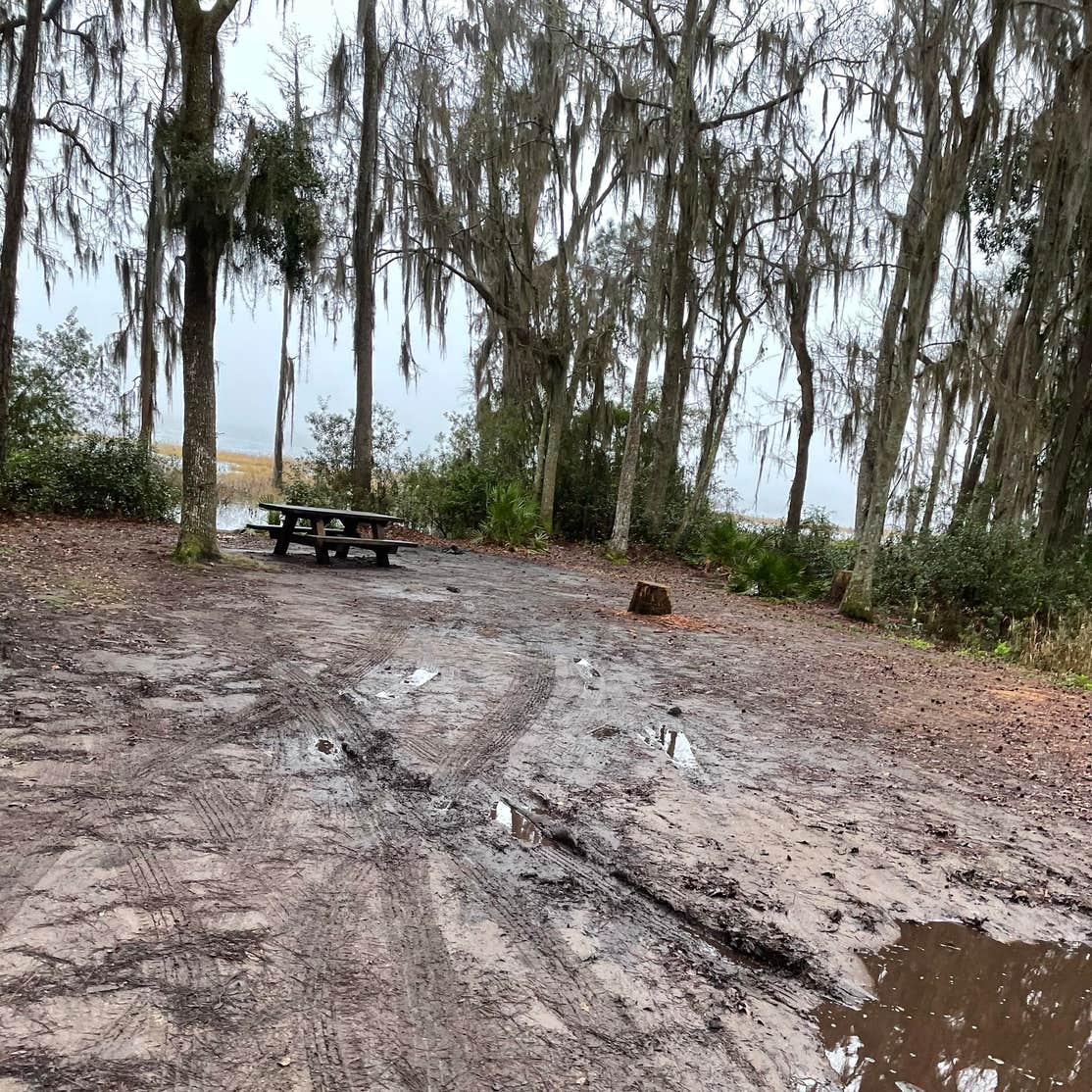 Osceola National Forest Hog Pen Landing Campground | Olustee, Florida