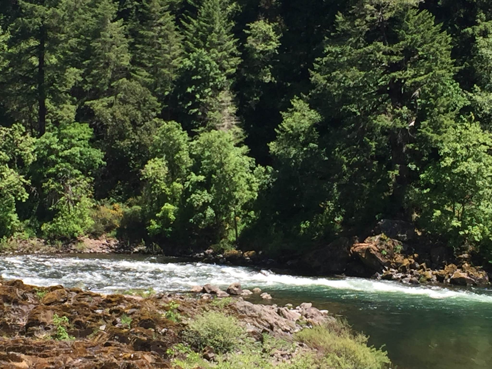 Whistler's Bend County Park & Campground | The Dyrt