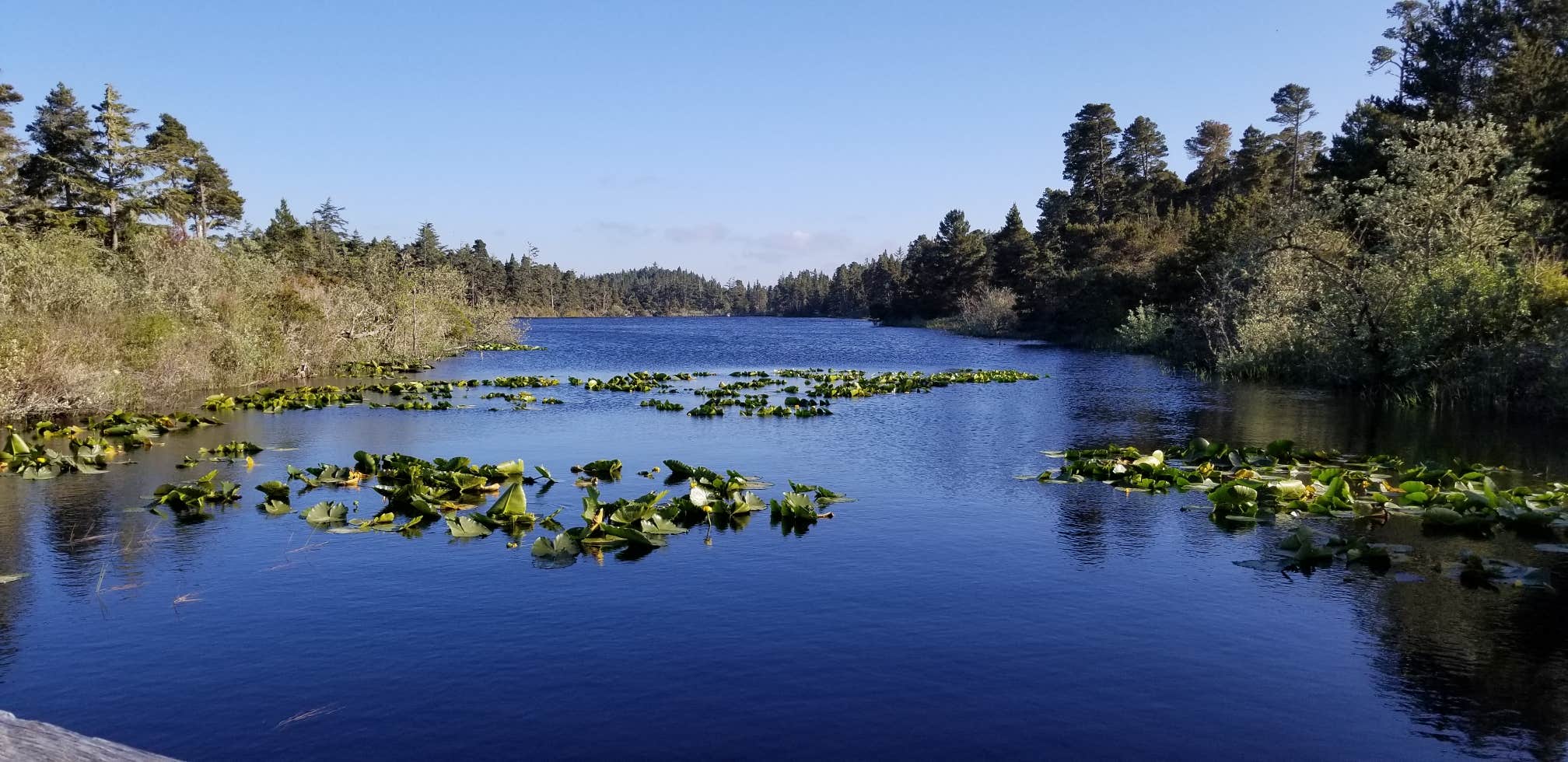 Bluebill Campground | North Bend, OR