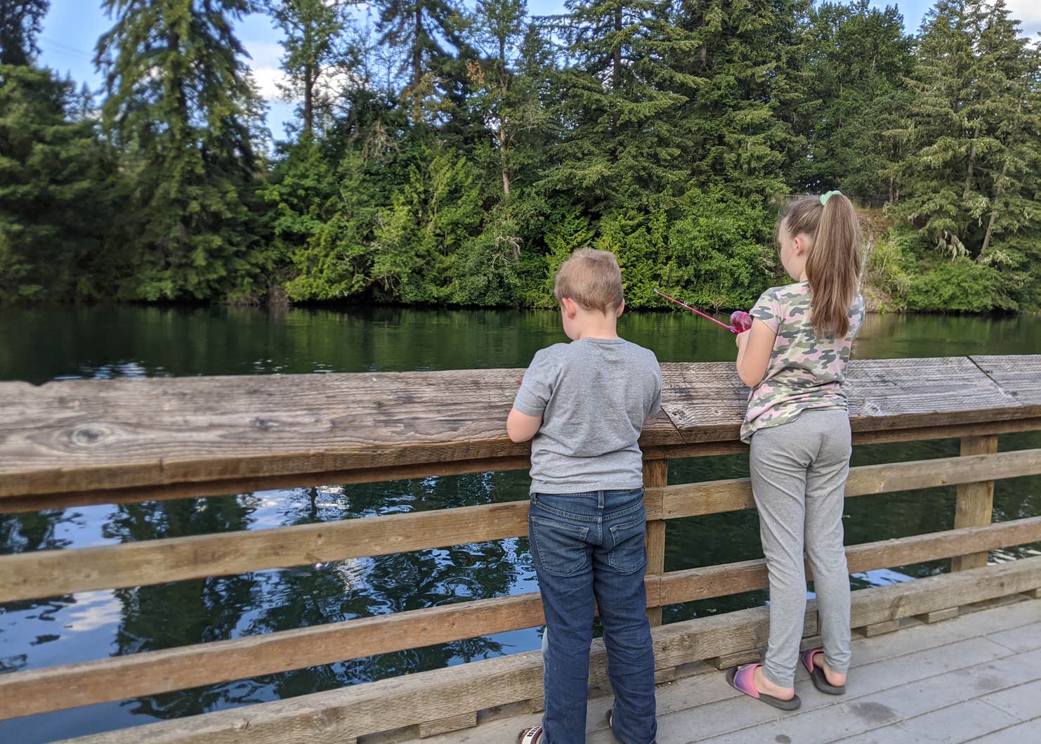 Milo McIver State Park Camping | The Dyrt