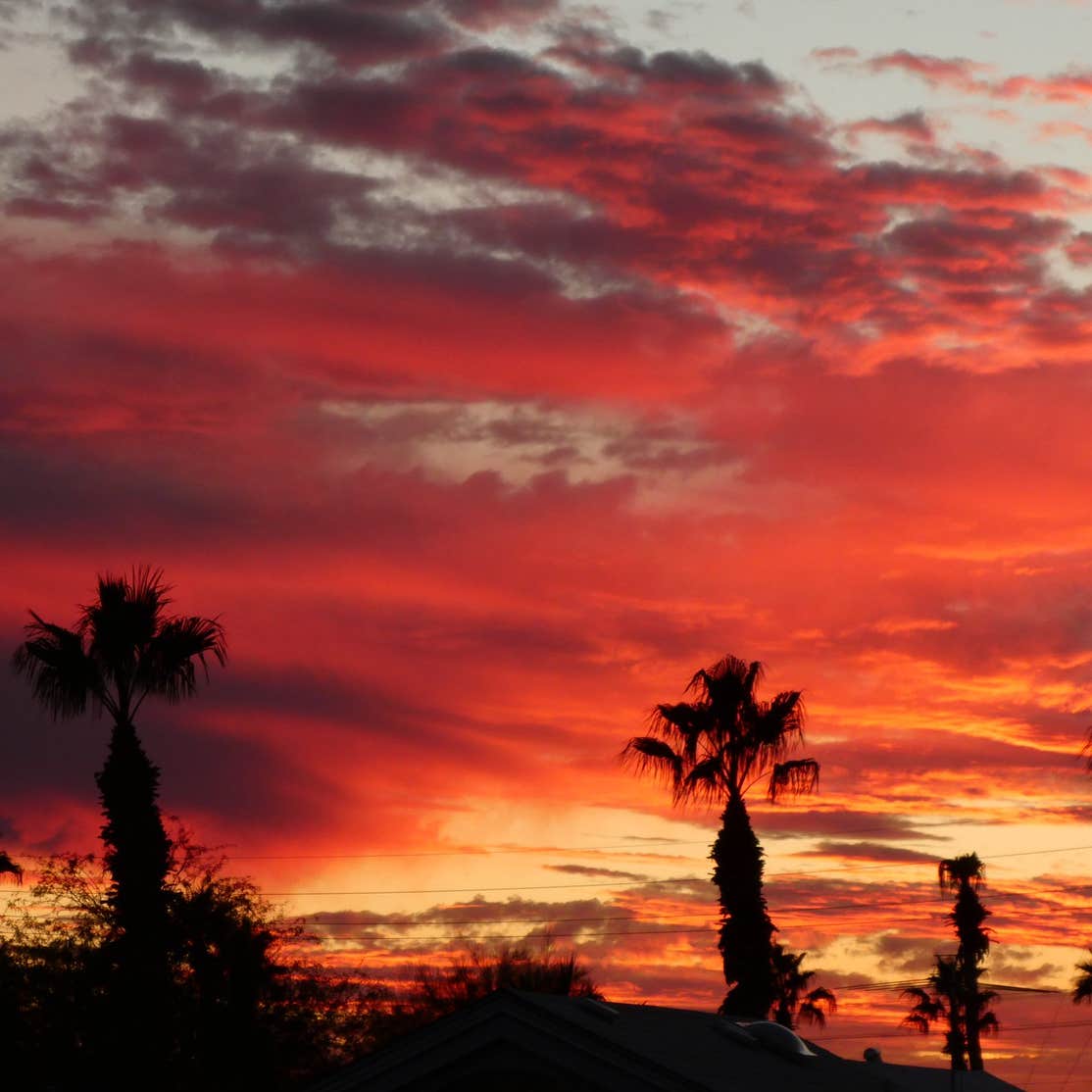 Weaver's Needle RV Resort Camping | The Dyrt