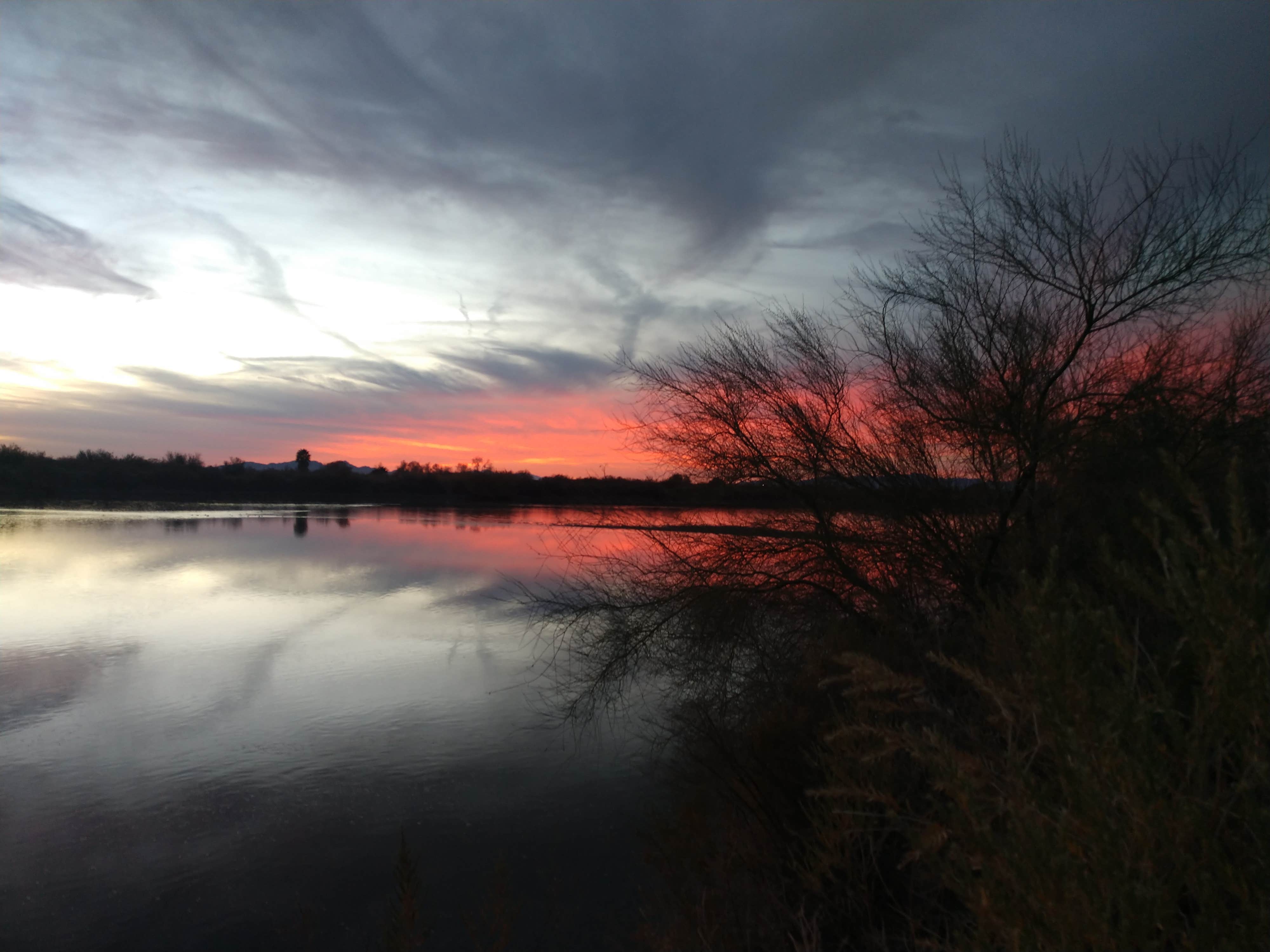 BLM Oxbow Campground | Palo Verde, AZ
