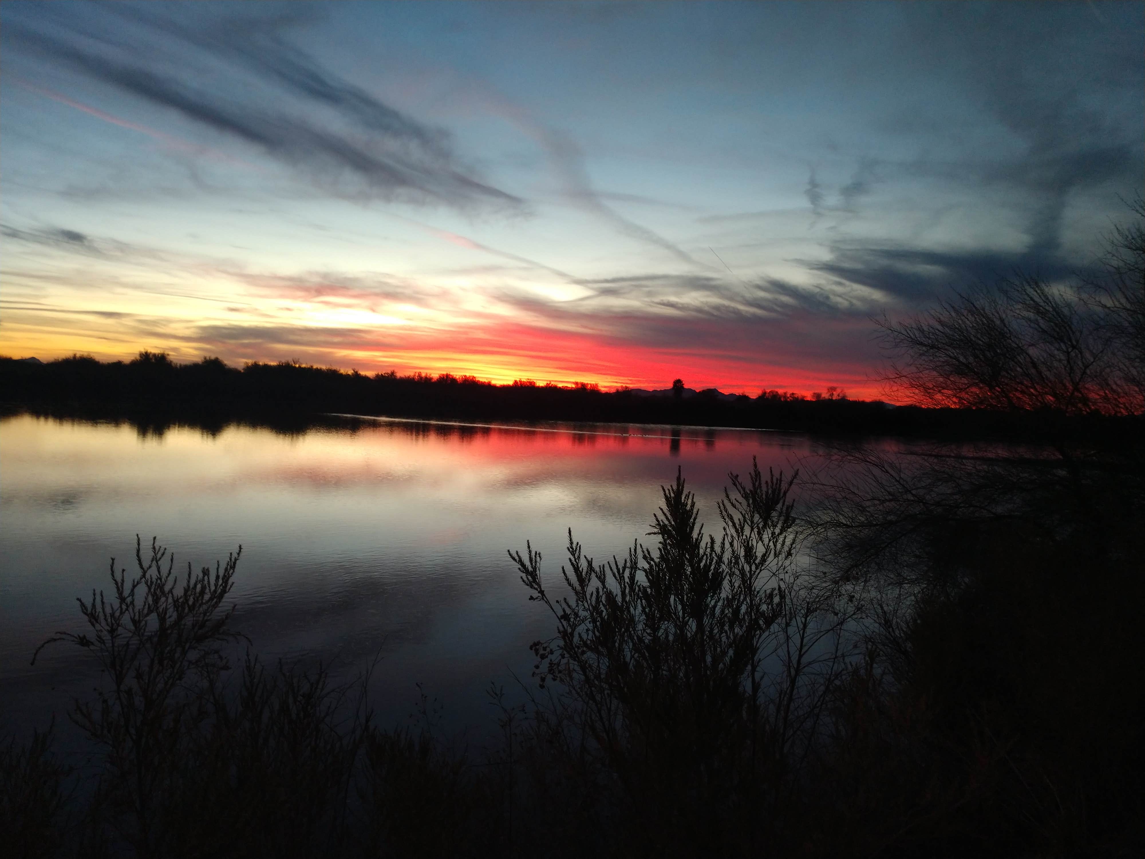 BLM Oxbow Campground | Palo Verde, AZ