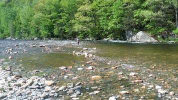 Mohawk Park Campground & Restaurant Camping | The Dyrt