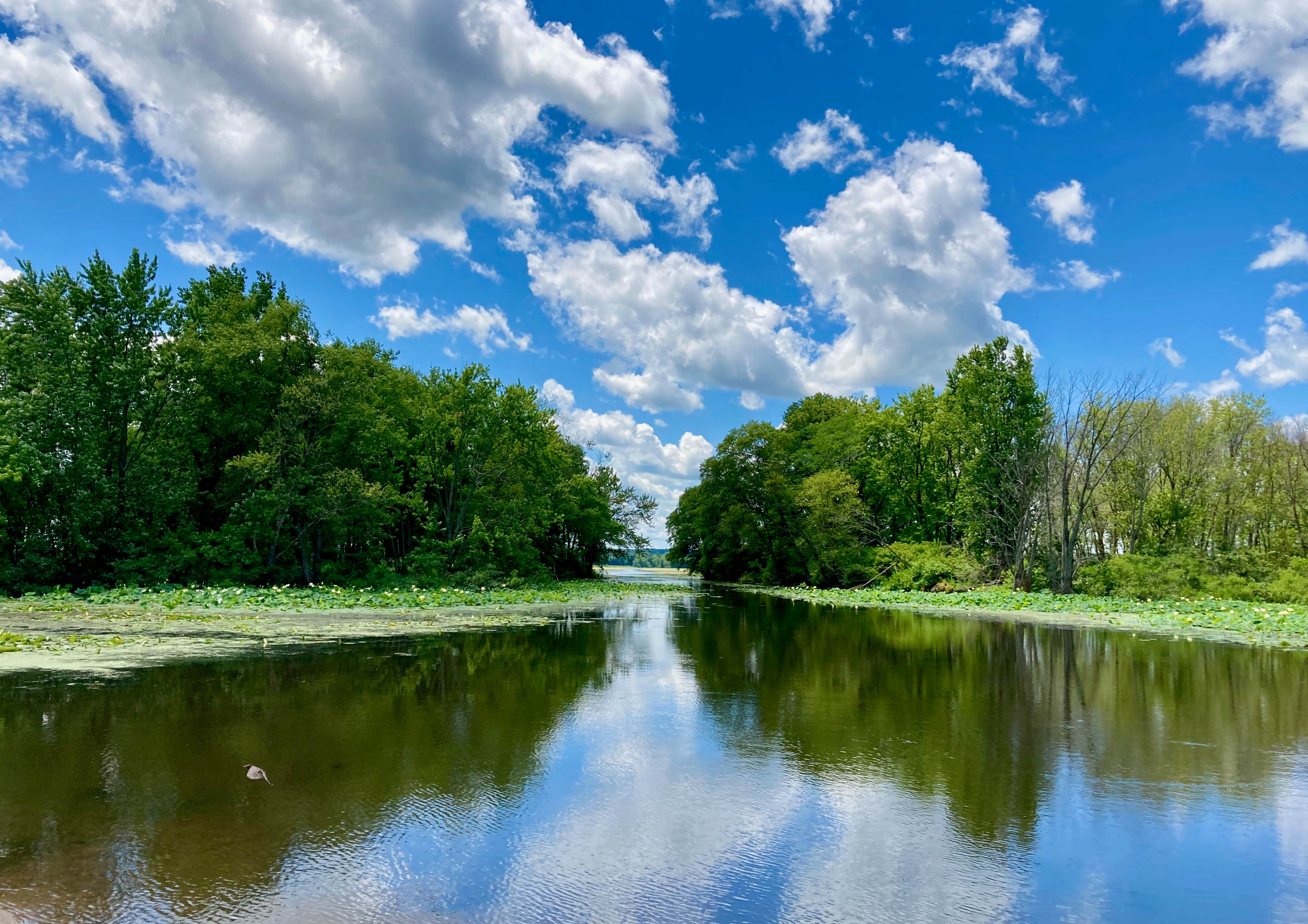 Spring Lake Campground | Savanna, IL