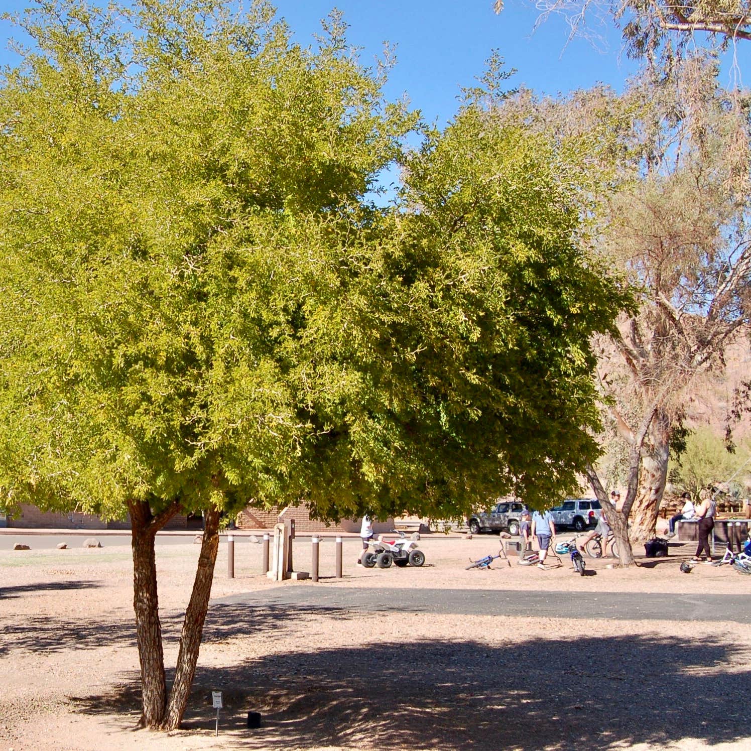 Cattail Cove State Park Camping | The Dyrt