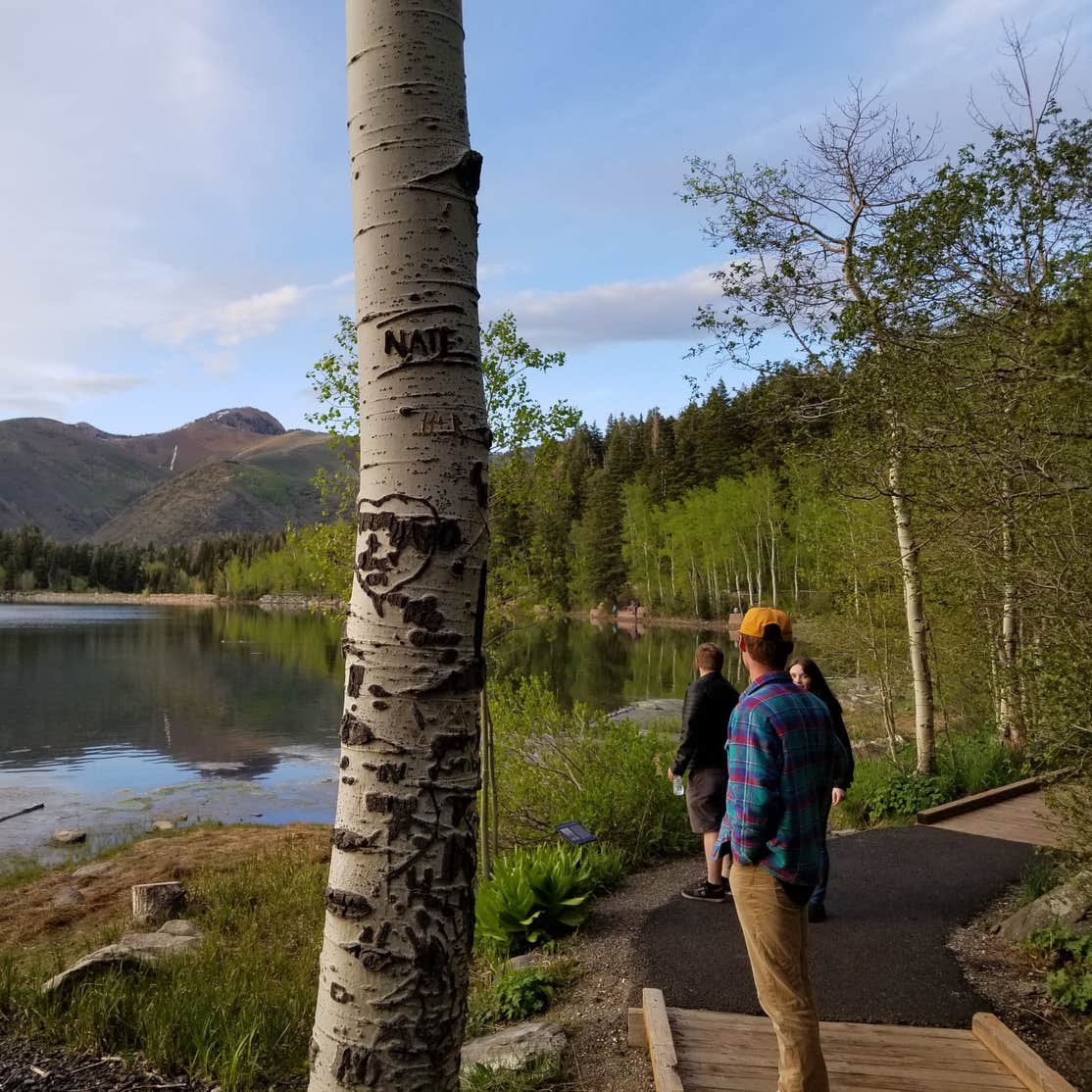 Payson Lakes Camping | The Dyrt