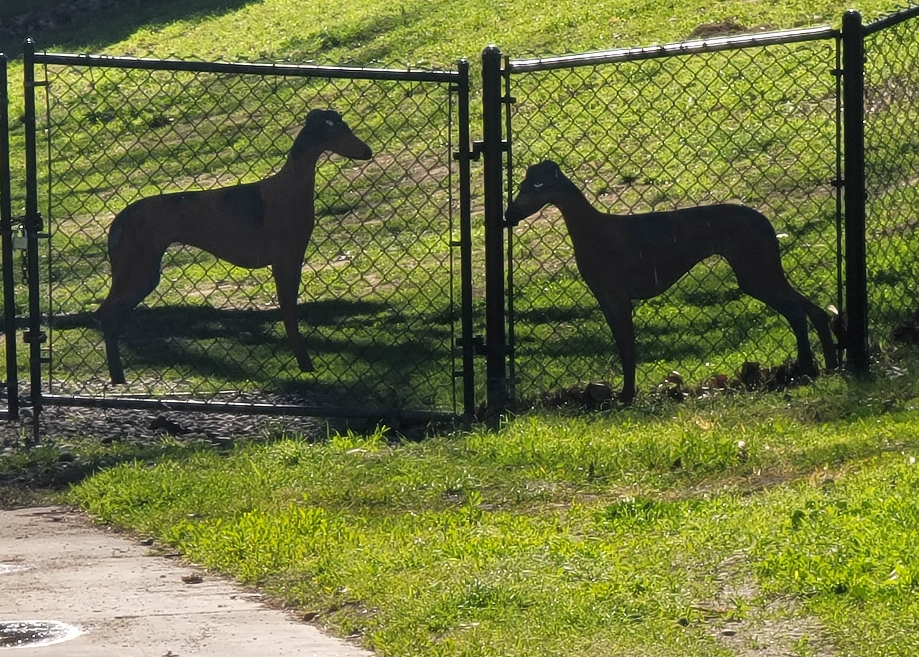 Flying Flags RV Resort Camping | The Dyrt