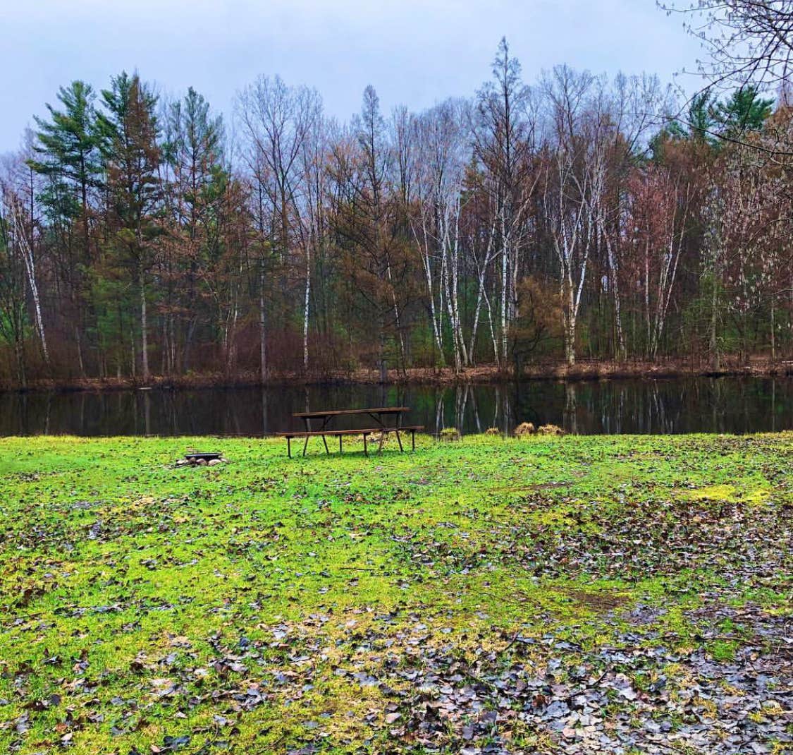 Fawn Lake Campground | The Dyrt