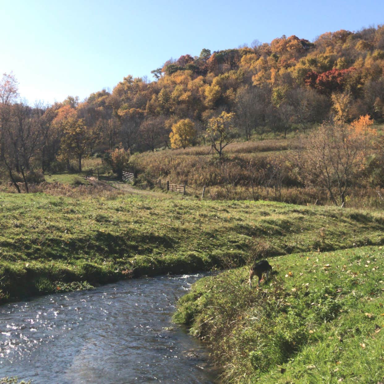 Wildcat Mound County Park Camping | Humbird, WI