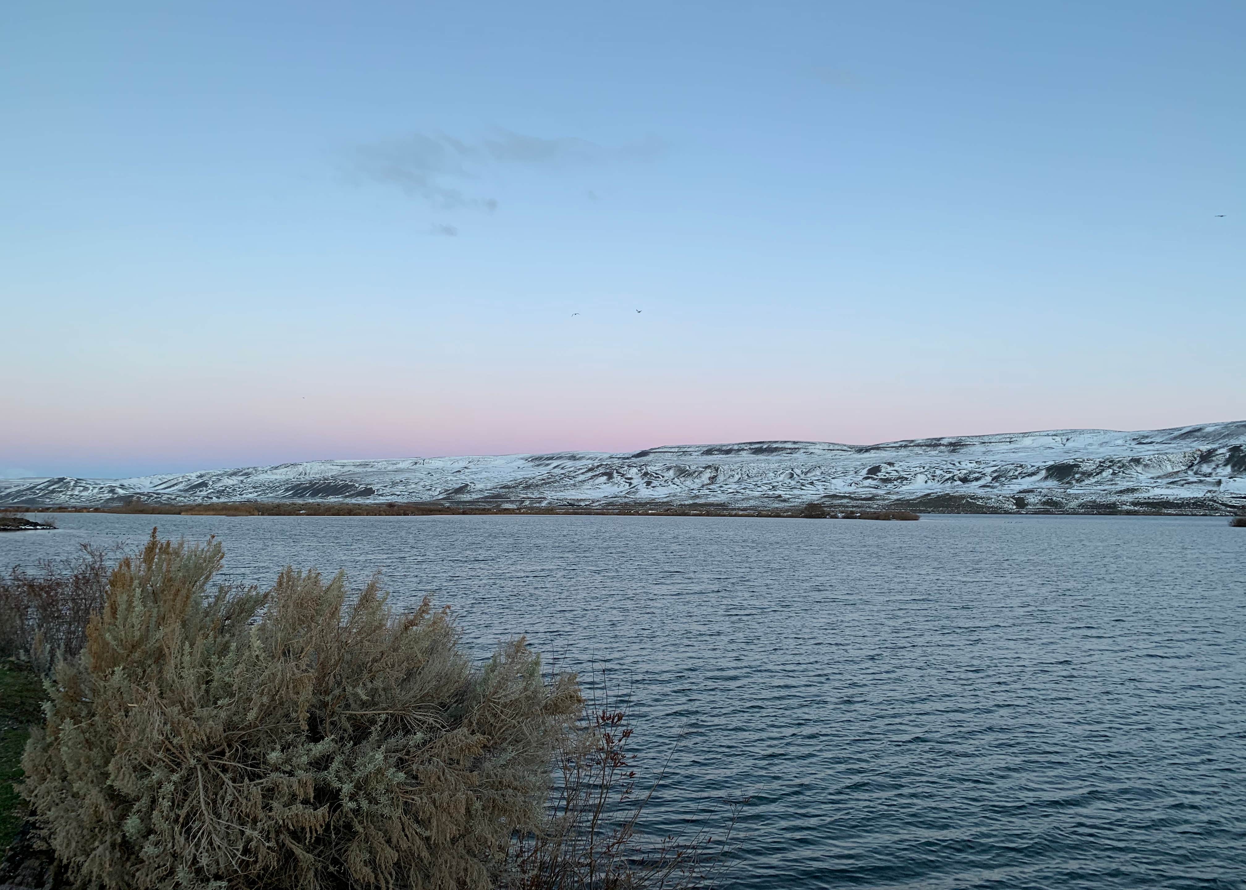 Threemile Canyon Park Camping | The Dyrt