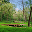 The Coler Campground Camping | The Dyrt