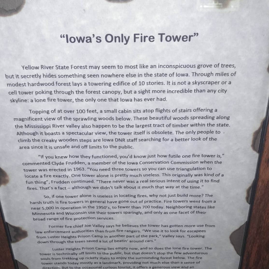 Fire Tower Cabin — Yellow River State Forest | Waterville, Iowa