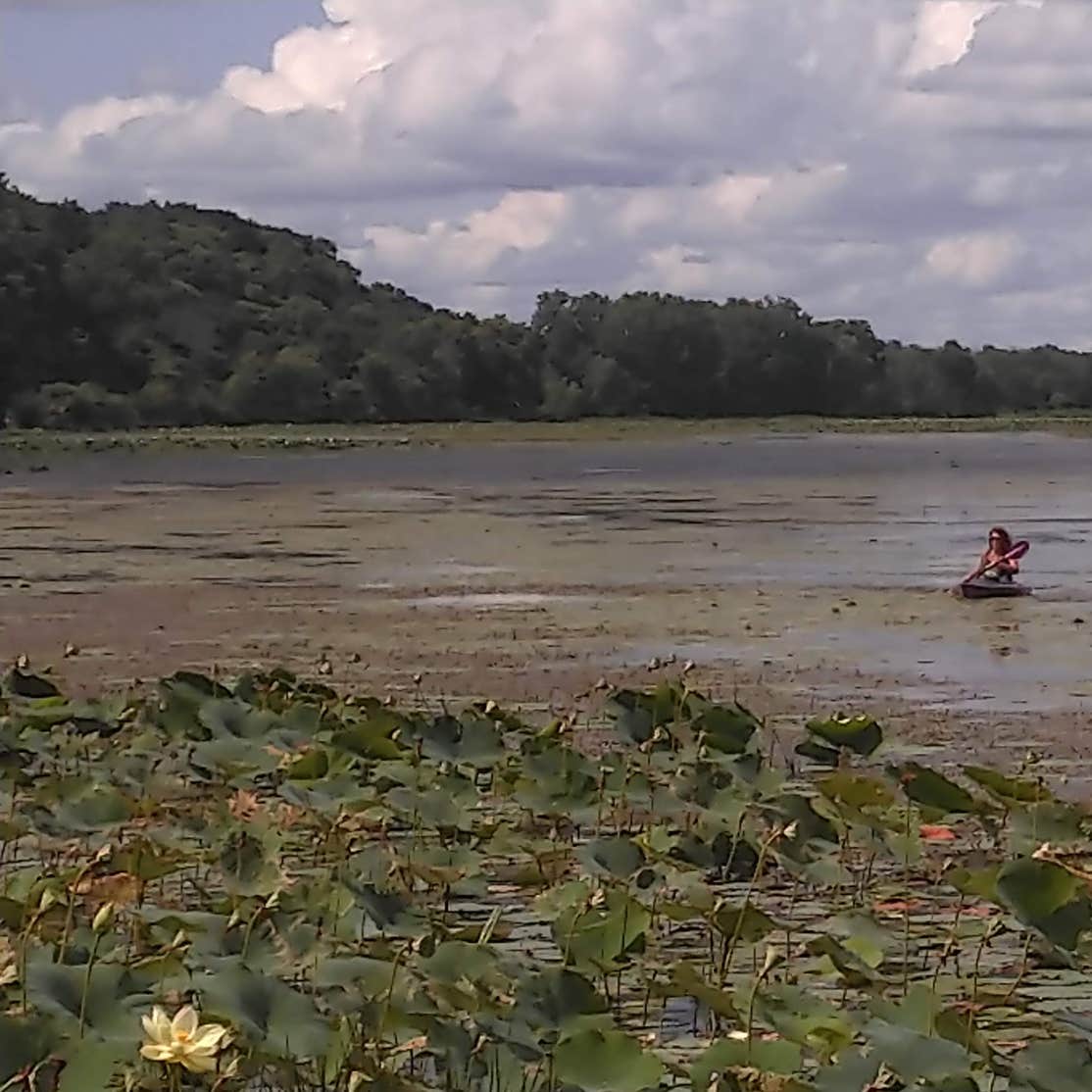 Bulger's Hollow Recreation Area — Mississippi River Pools 11 22 Camping ...