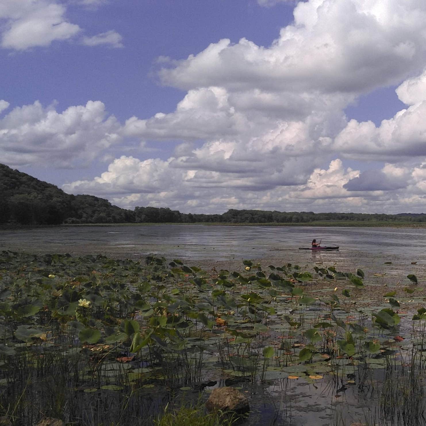 Bulger's Hollow Recreation Area — Mississippi River Pools 11 22 Camping ...