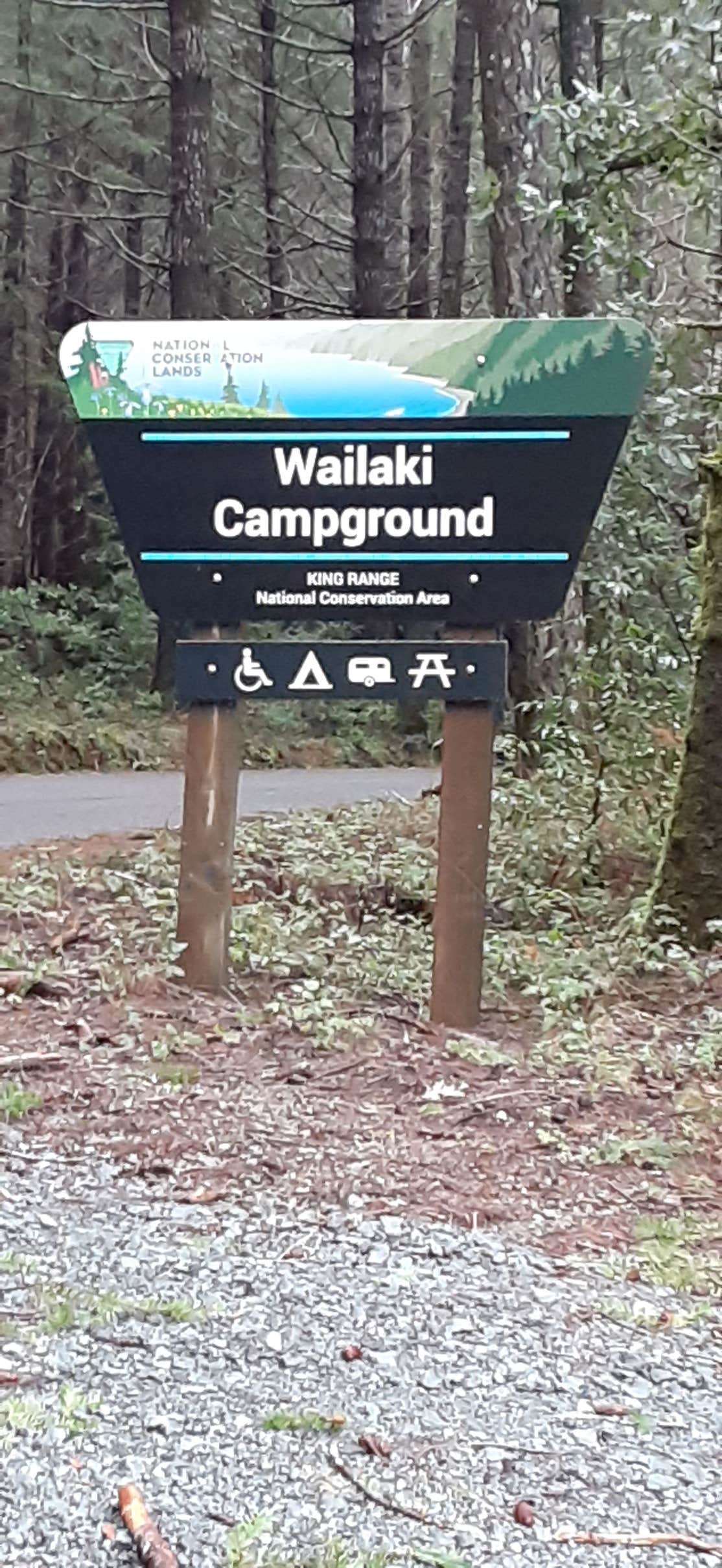 Wailaki Campground Camping | The Dyrt