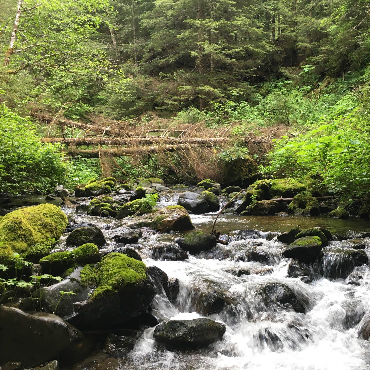 Sunset Falls Campground Camping | The Dyrt