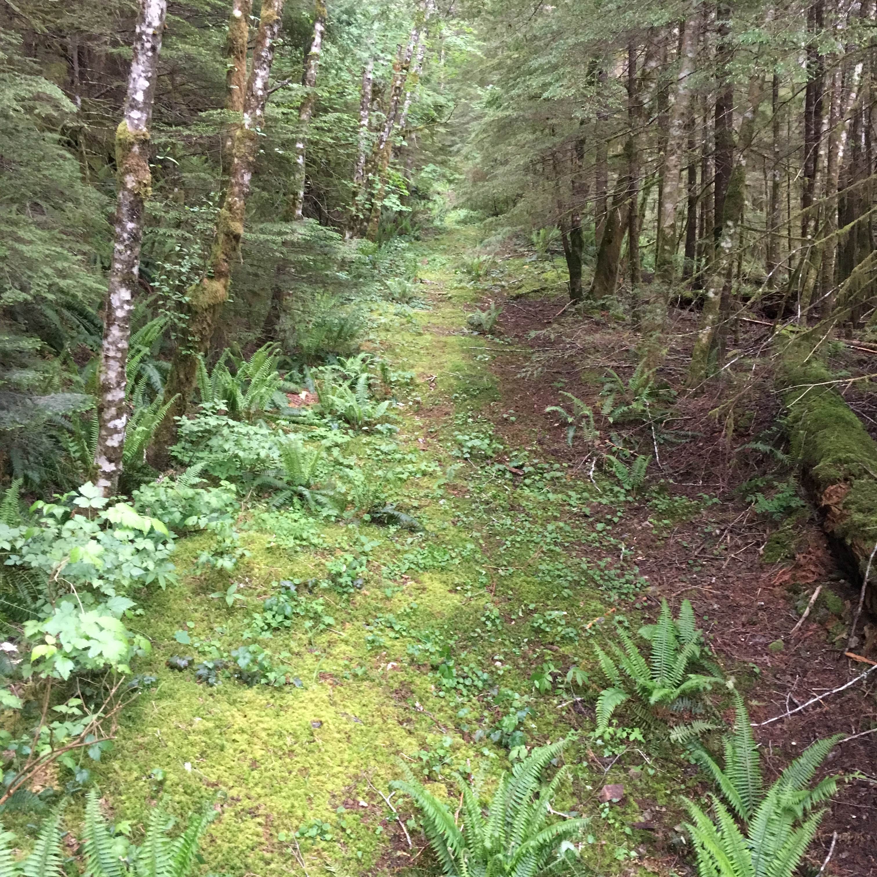 Sunset Falls Campground Camping | The Dyrt