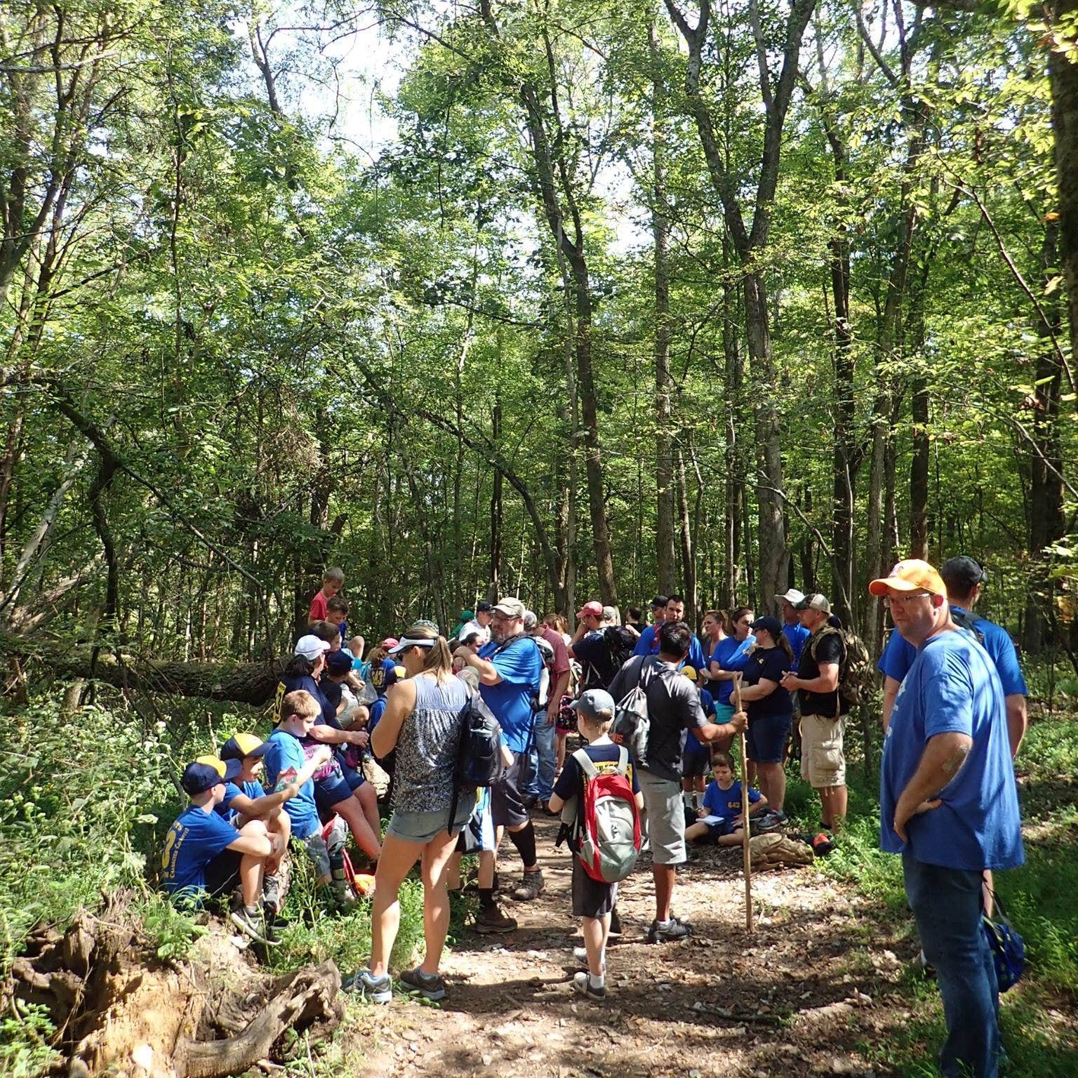 Bledsoe Creek State Park Camping | The Dyrt