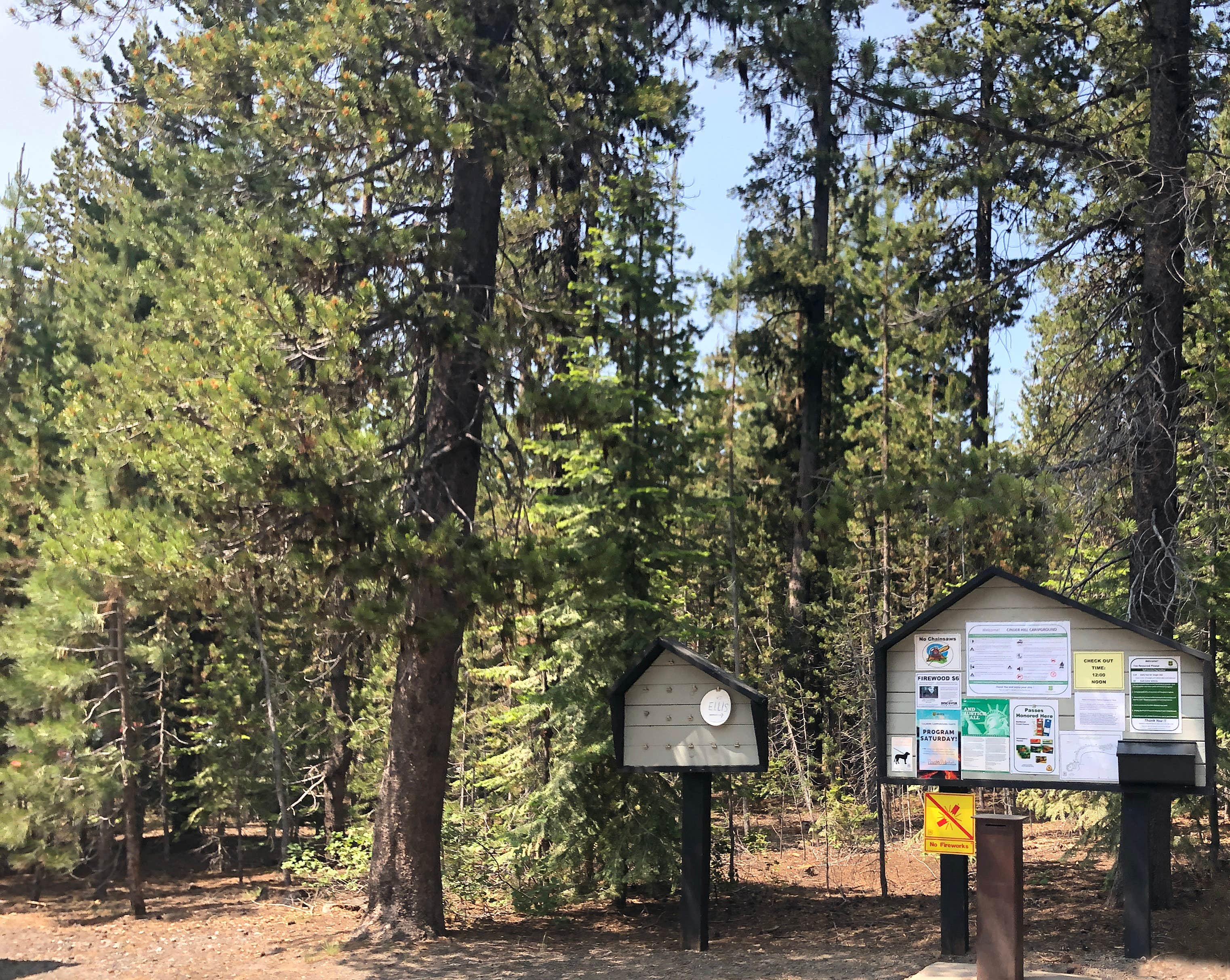 Cinder Hill Campground | The Dyrt