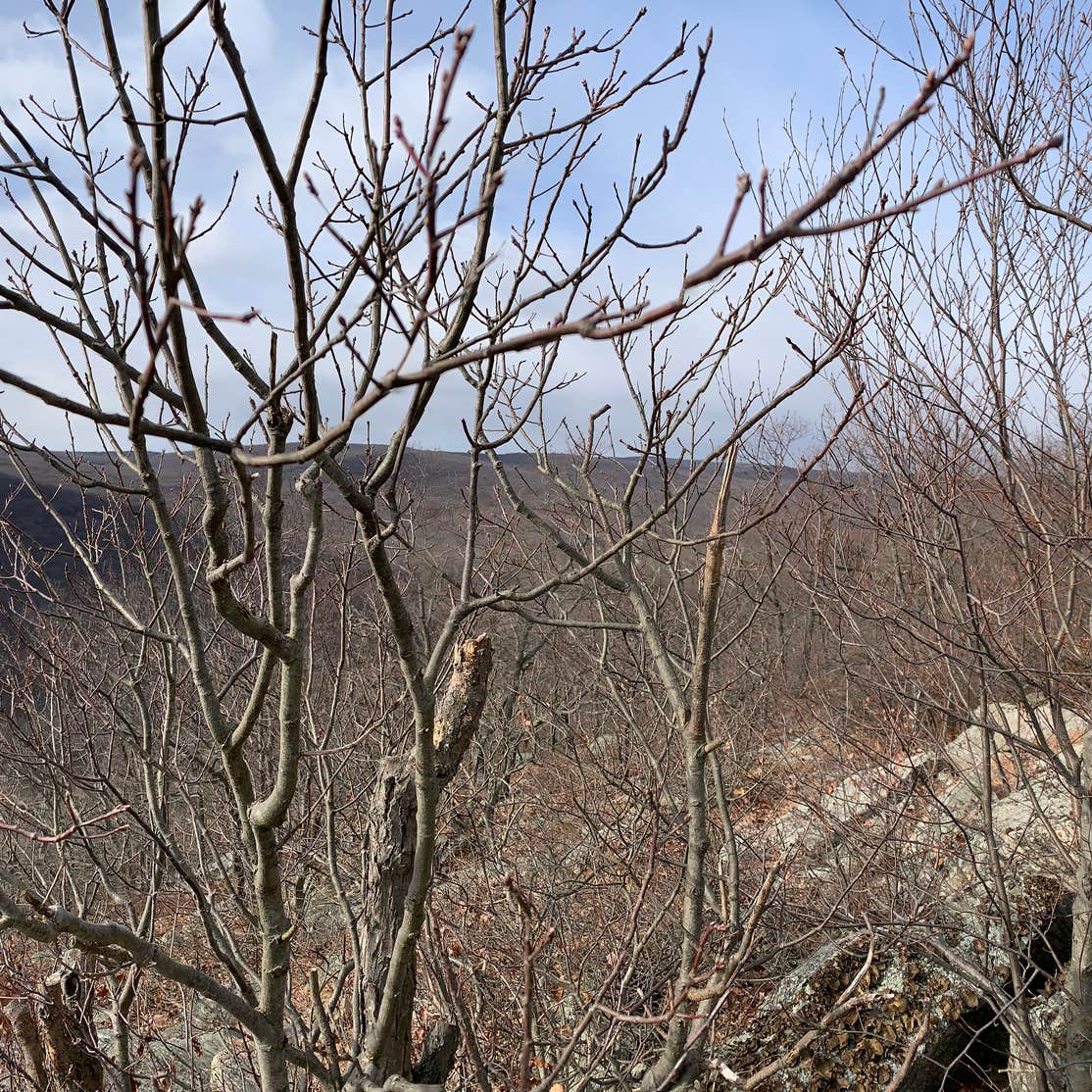 Suffern-Bear Mountain from Gate Hill Road Primitive Camping | Stony ...