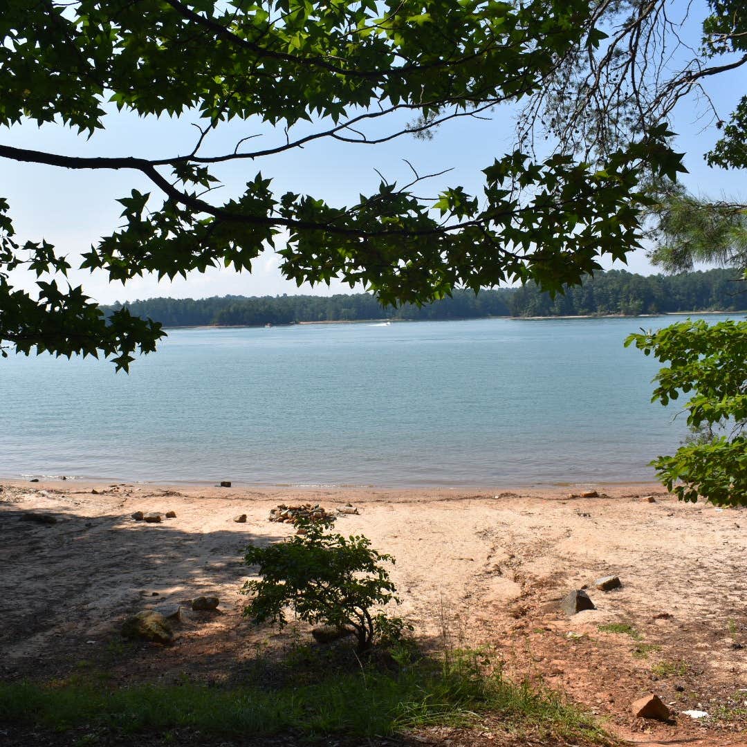 Bald Ridge Creek Camping | The Dyrt