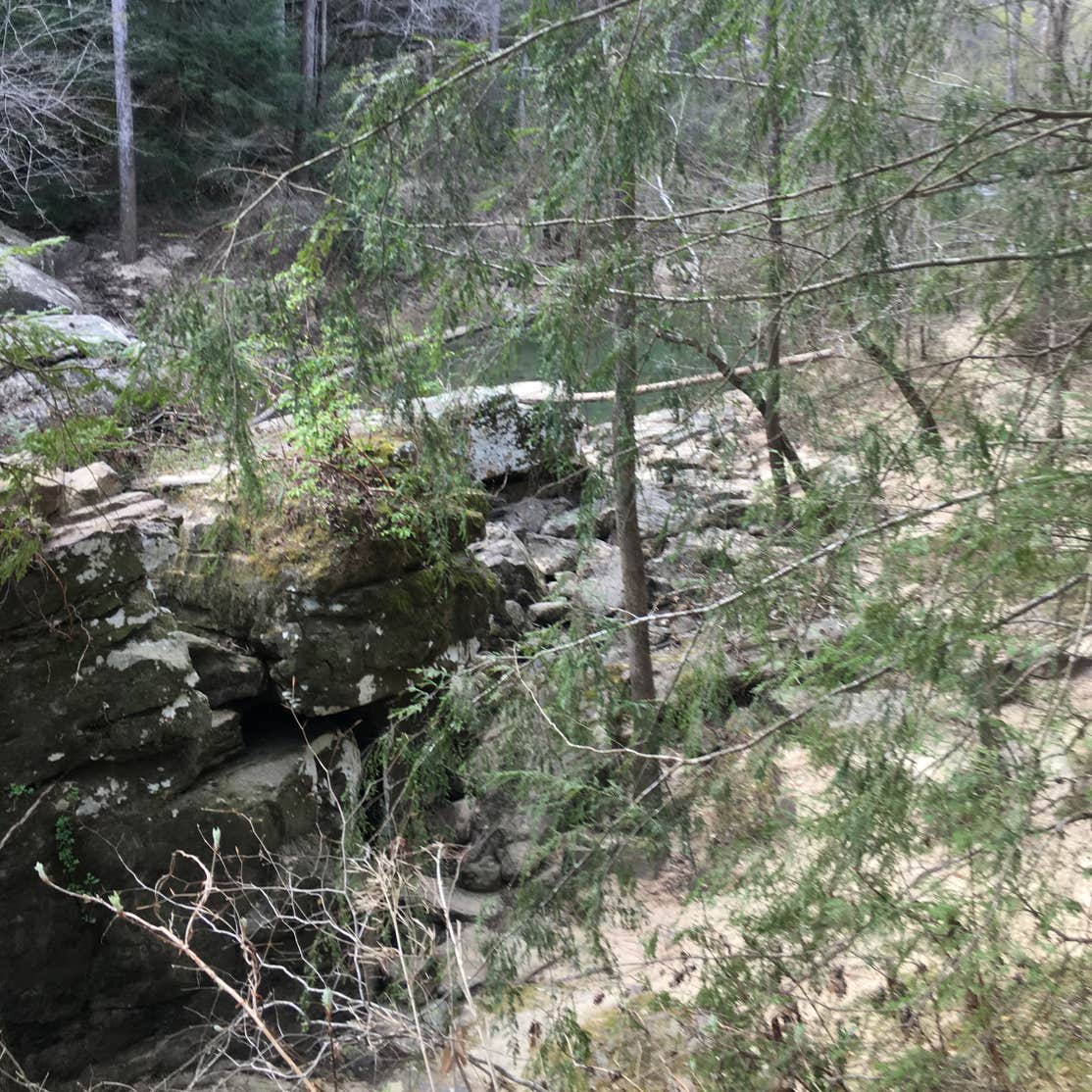 Sipsey Wilderness Backcountry Site (Trail 200 Site L) Camping ...