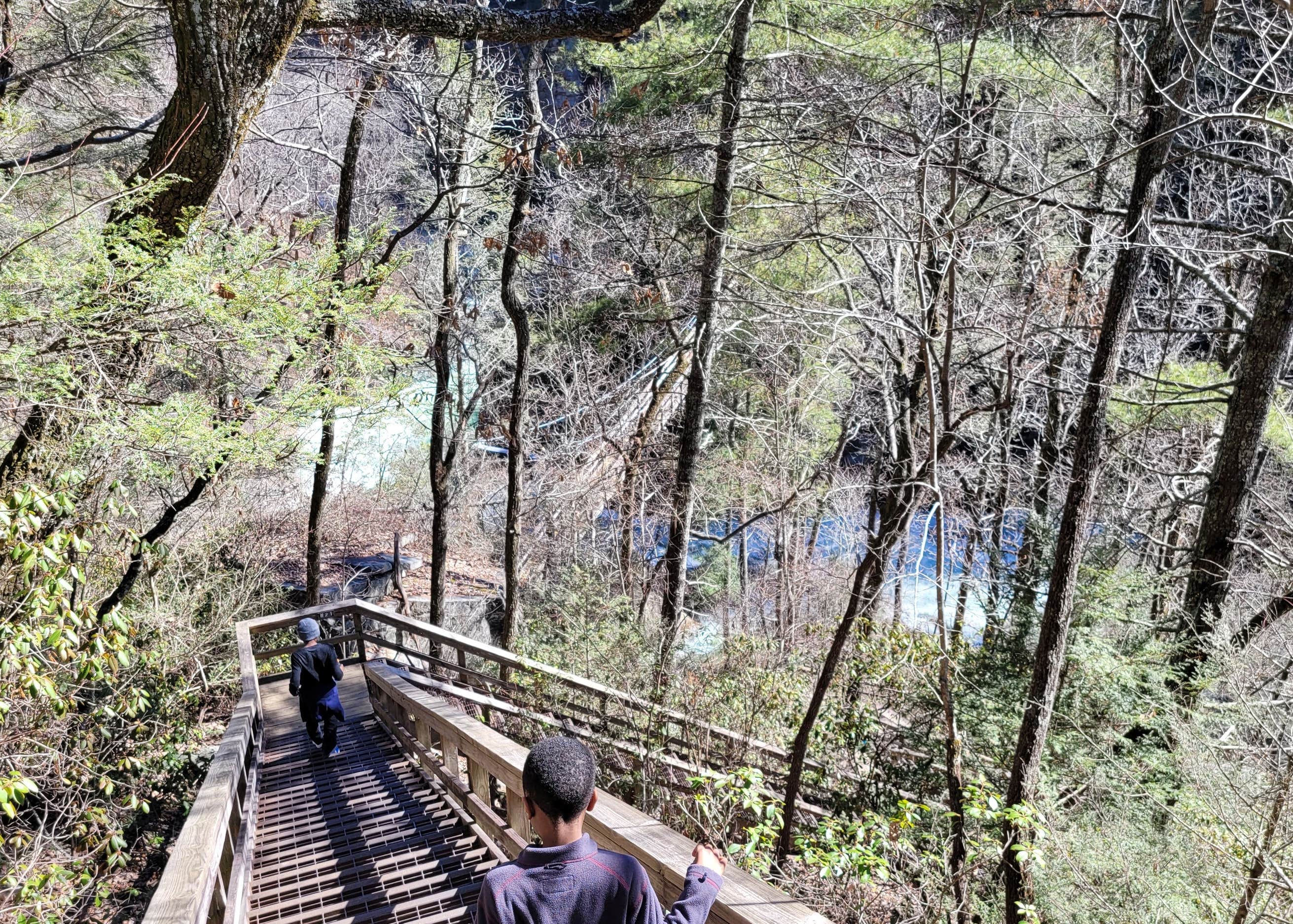 Tallulah Gorge State Park Camping | The Dyrt