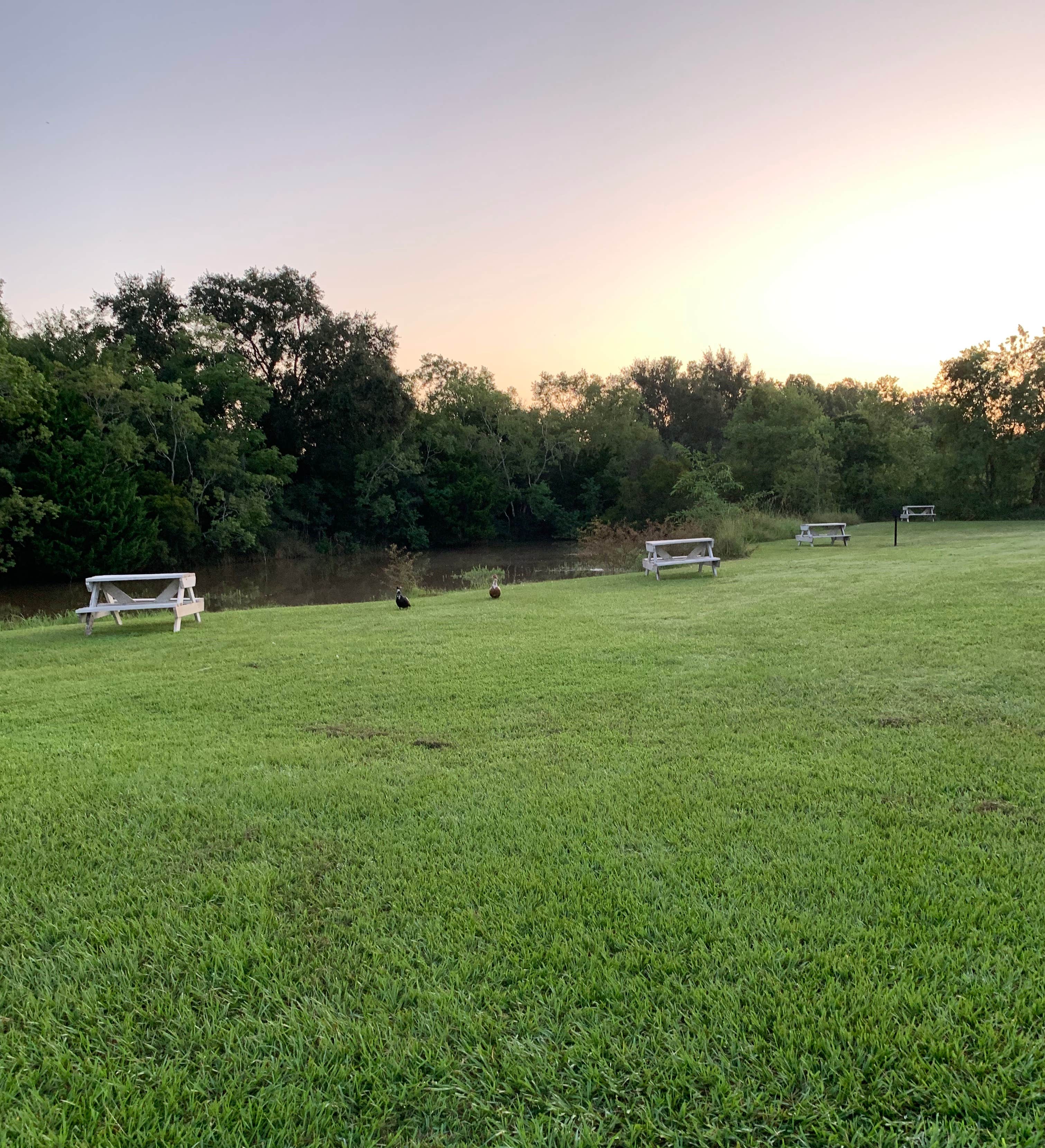 Anahuac RV Park | Anahuac, TX