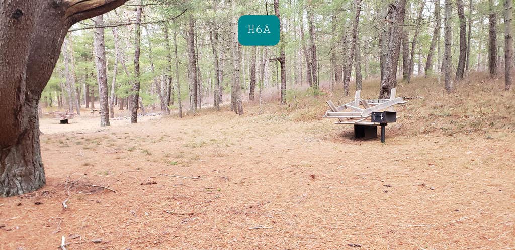 Fearing Pond Campground — Myles Standish State Forest | South Carver, MA