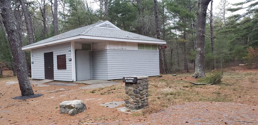 Myles Standish State Forest | The Dyrt