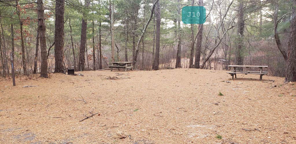 Barretts Pond Campground — Myles Standish State Forest | Carver, MA