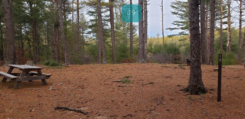 Barretts Pond Campground — Myles Standish State Forest | South Carver ...