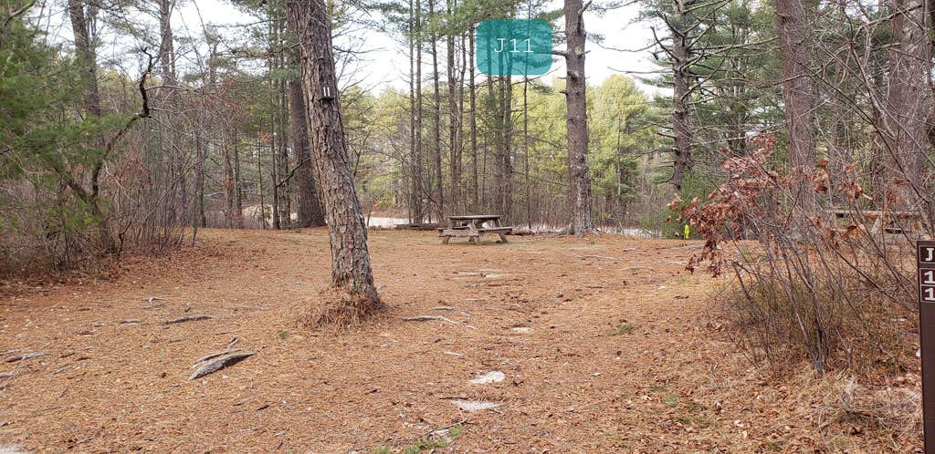 Barretts Pond Campground Camping | The Dyrt