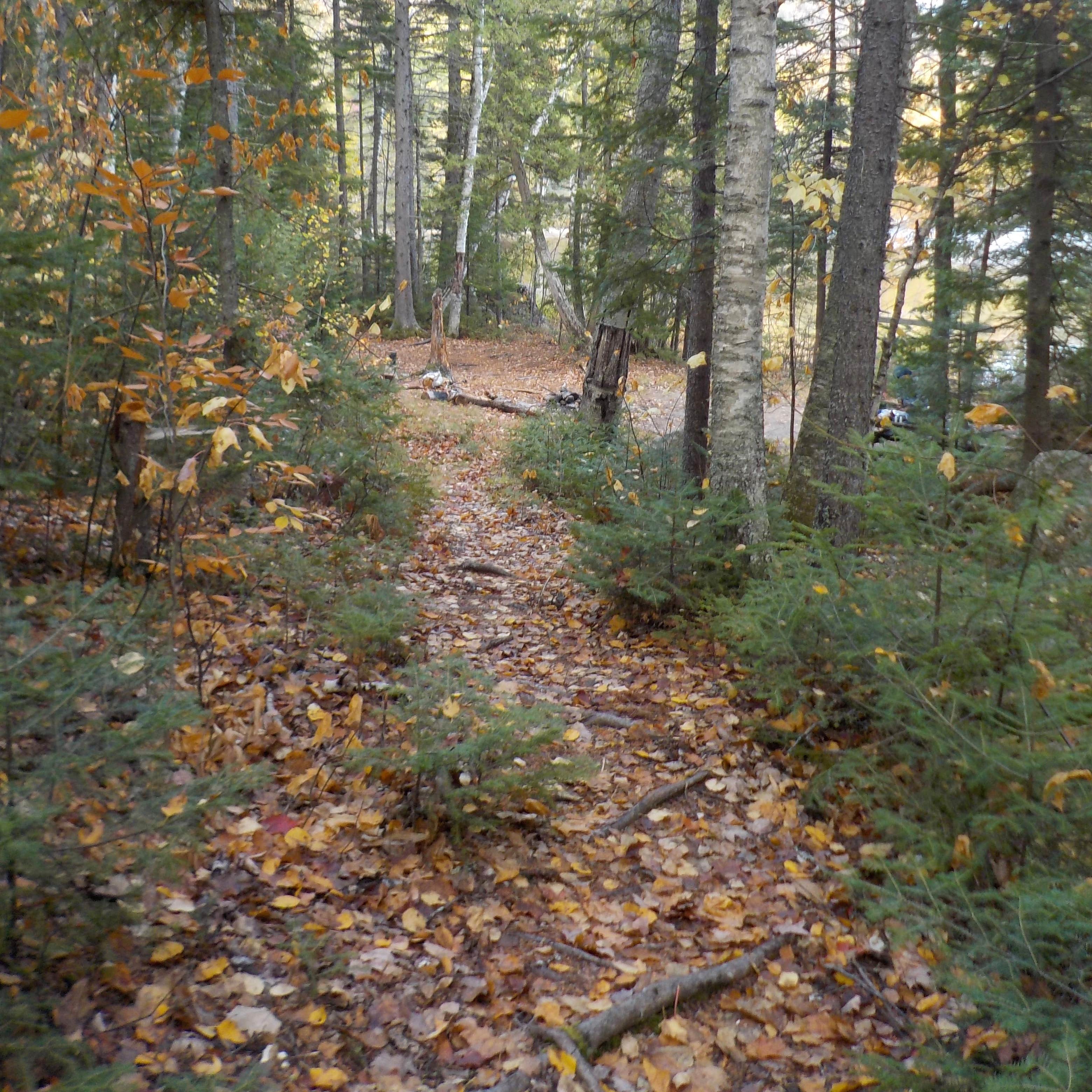 The Narrows- Attean Pond Camping | The Dyrt