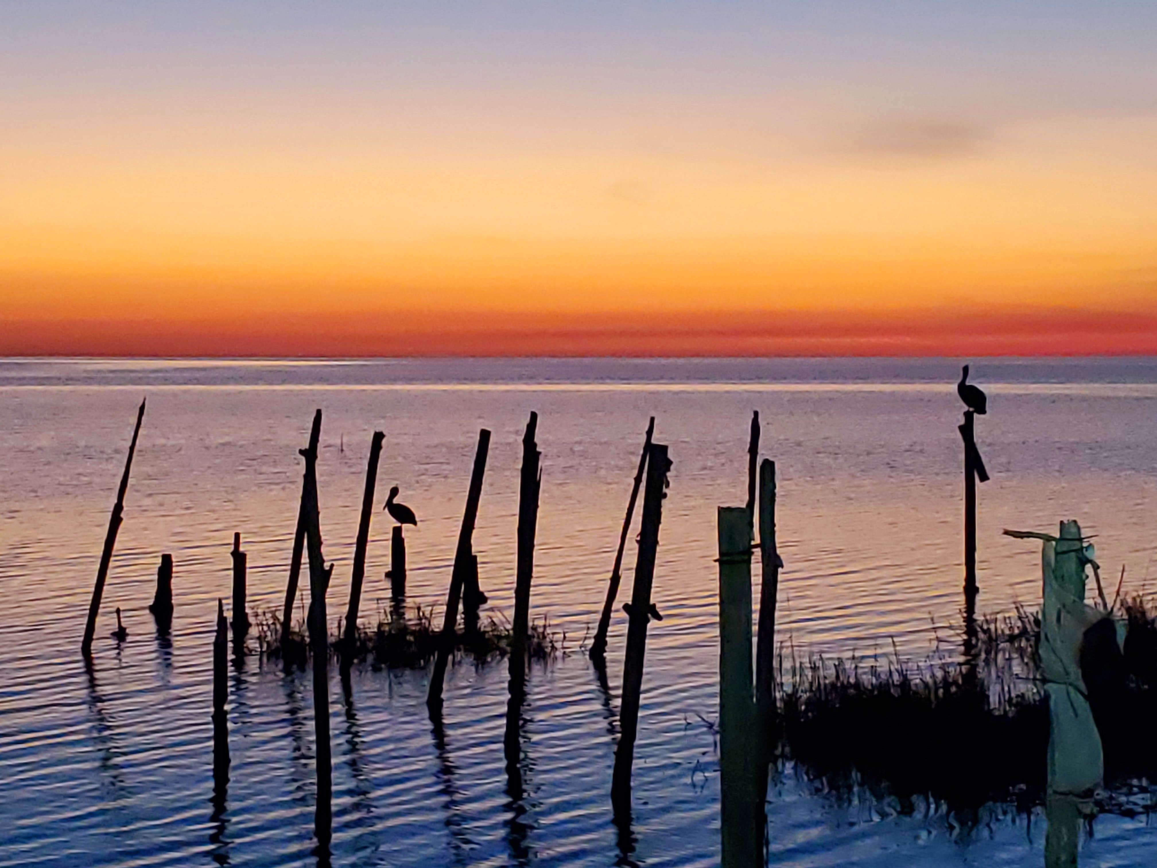 The Old Pavilion RV Park | Perry, FL