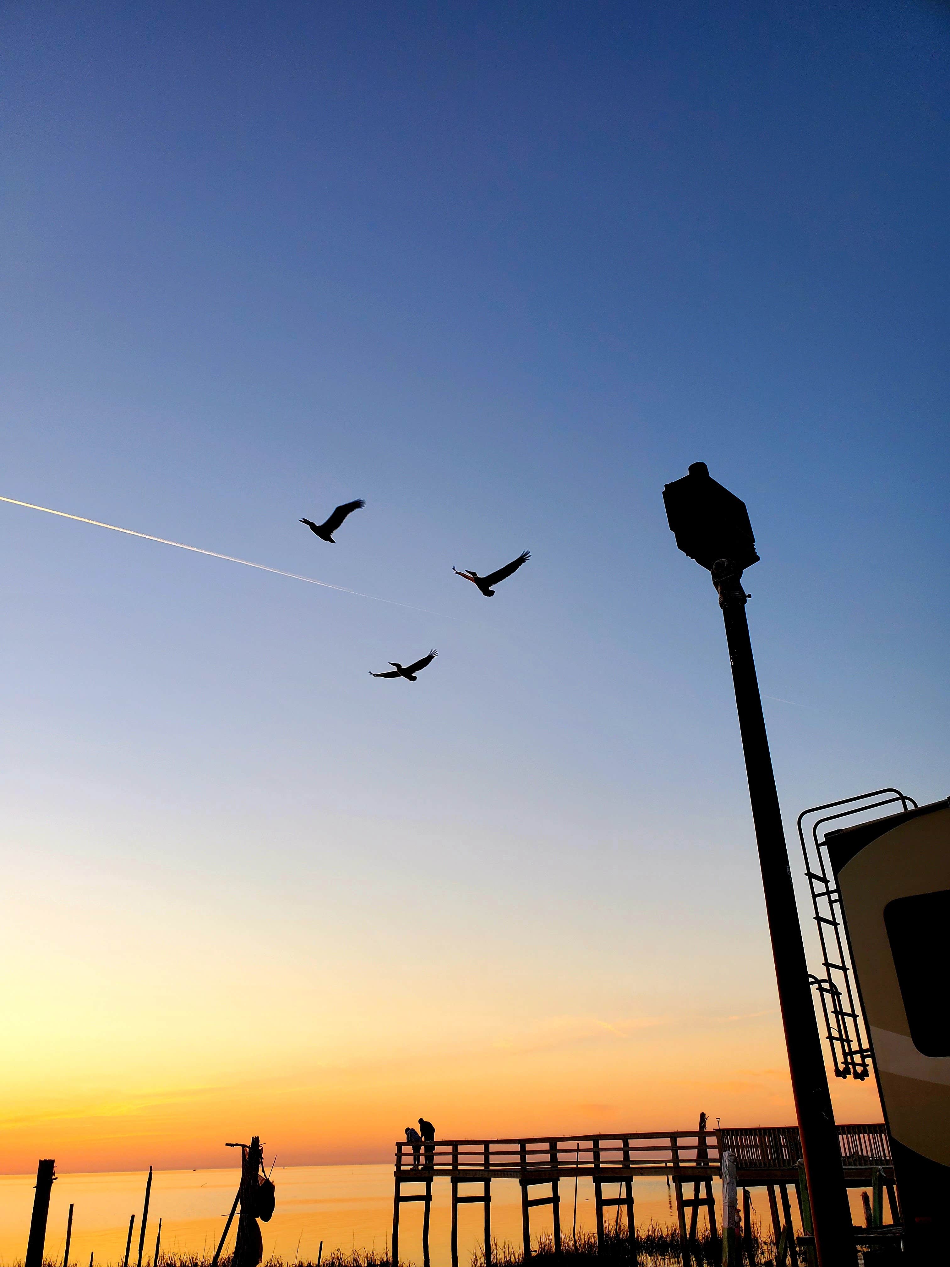 The Old Pavilion RV Park | Perry, FL