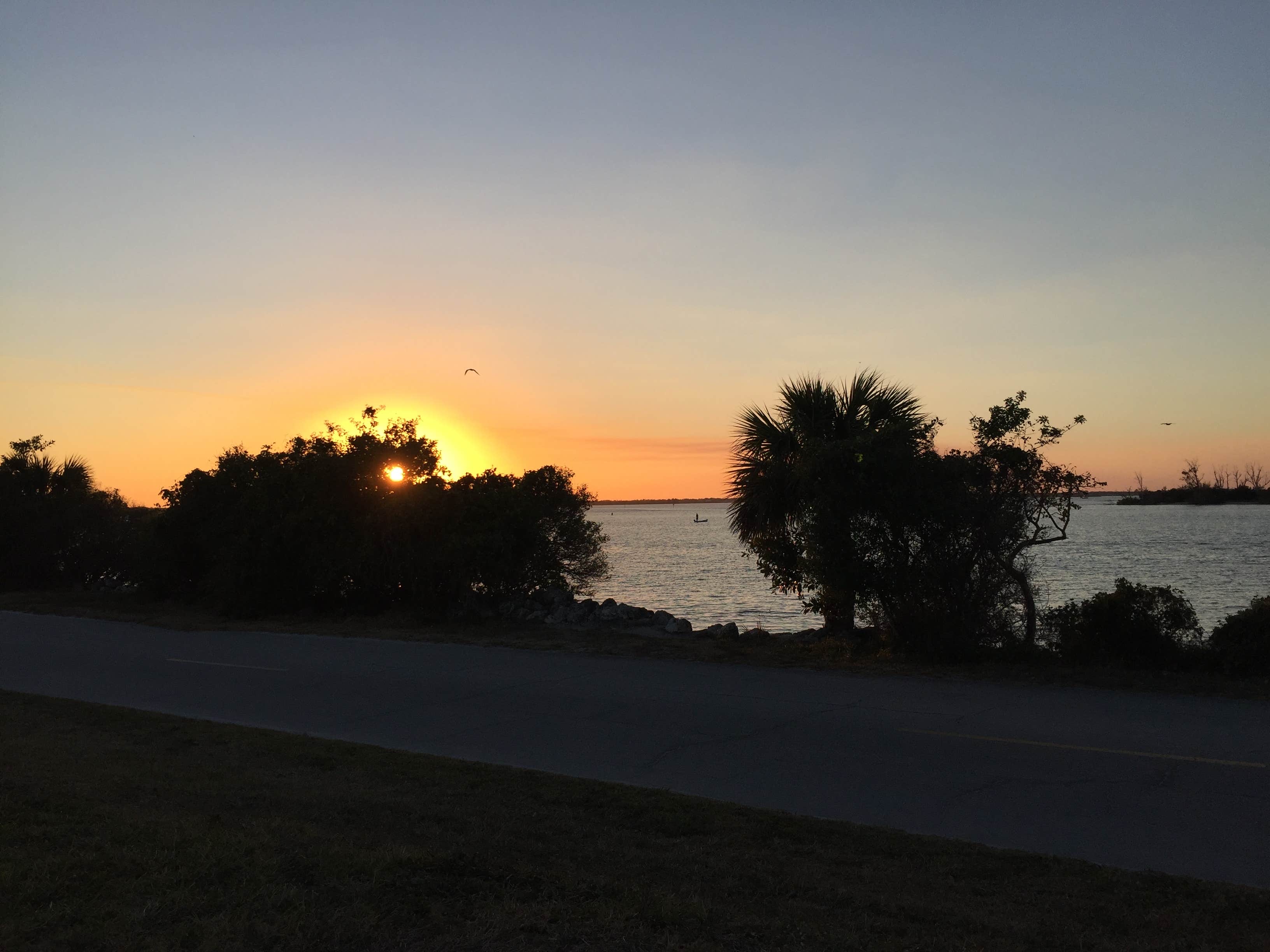 Sebastian Inlet | The Dyrt