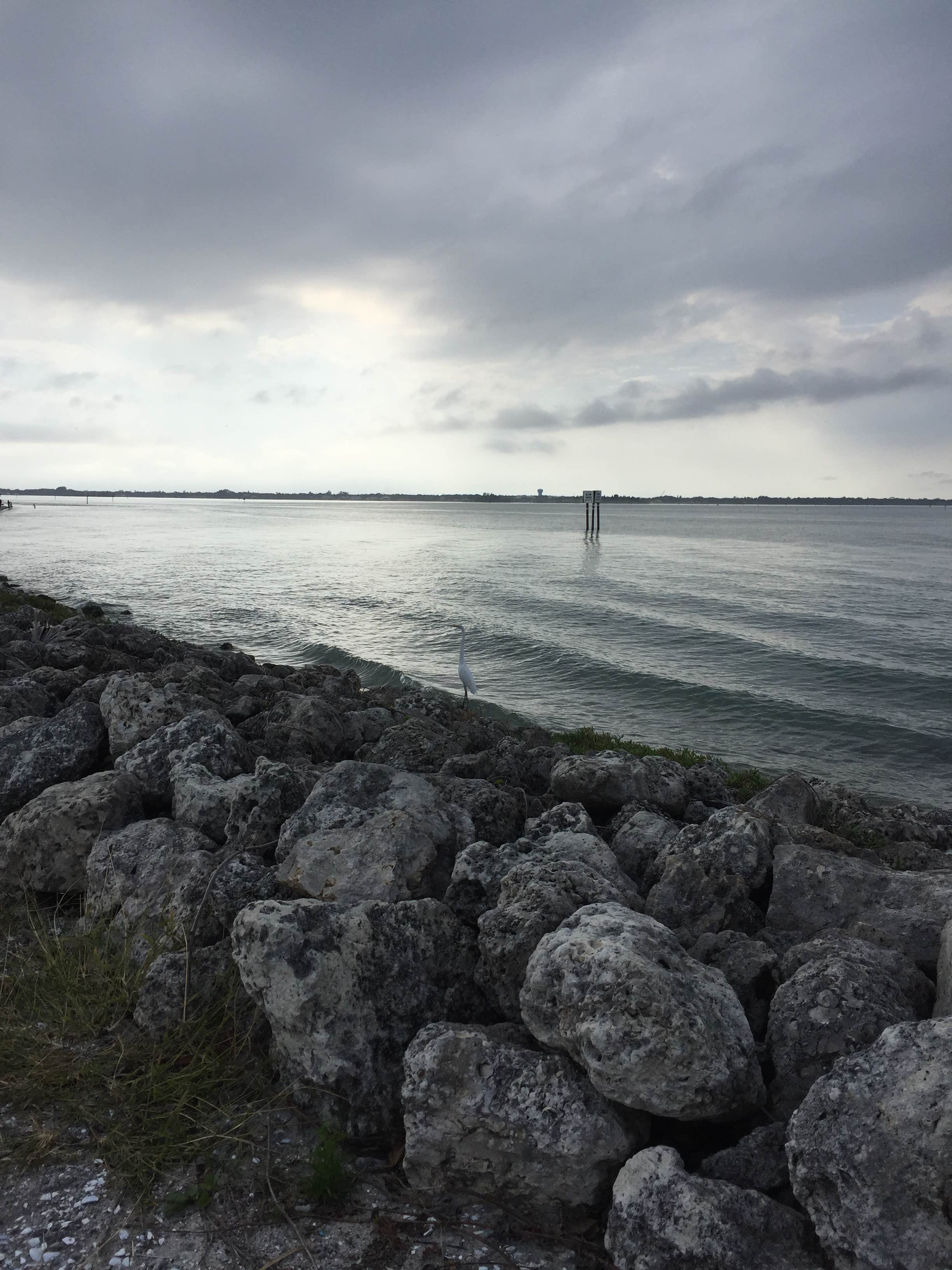 Sebastian Inlet | The Dyrt