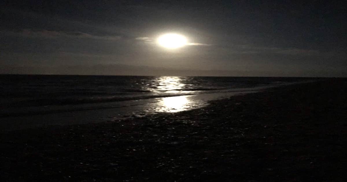 Magnolia Beach | Port Lavaca, TX