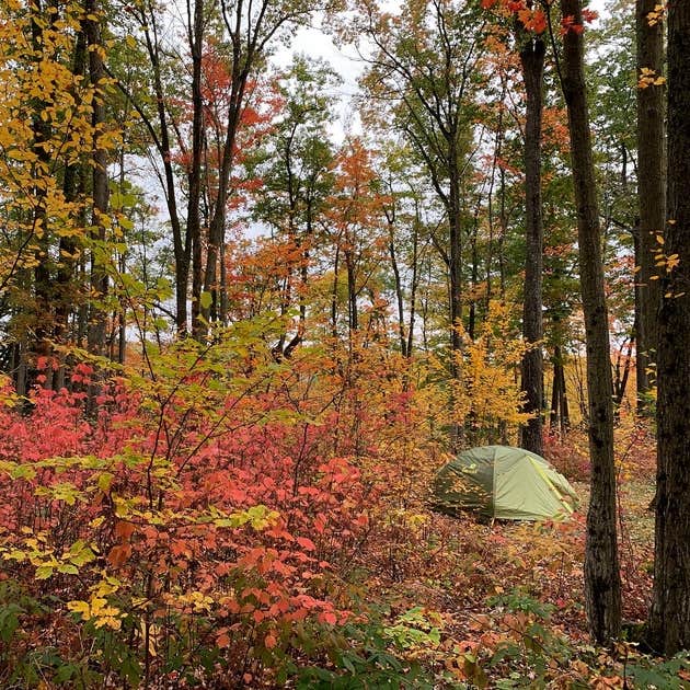 Trout Lake Camping | Gladwin, MI