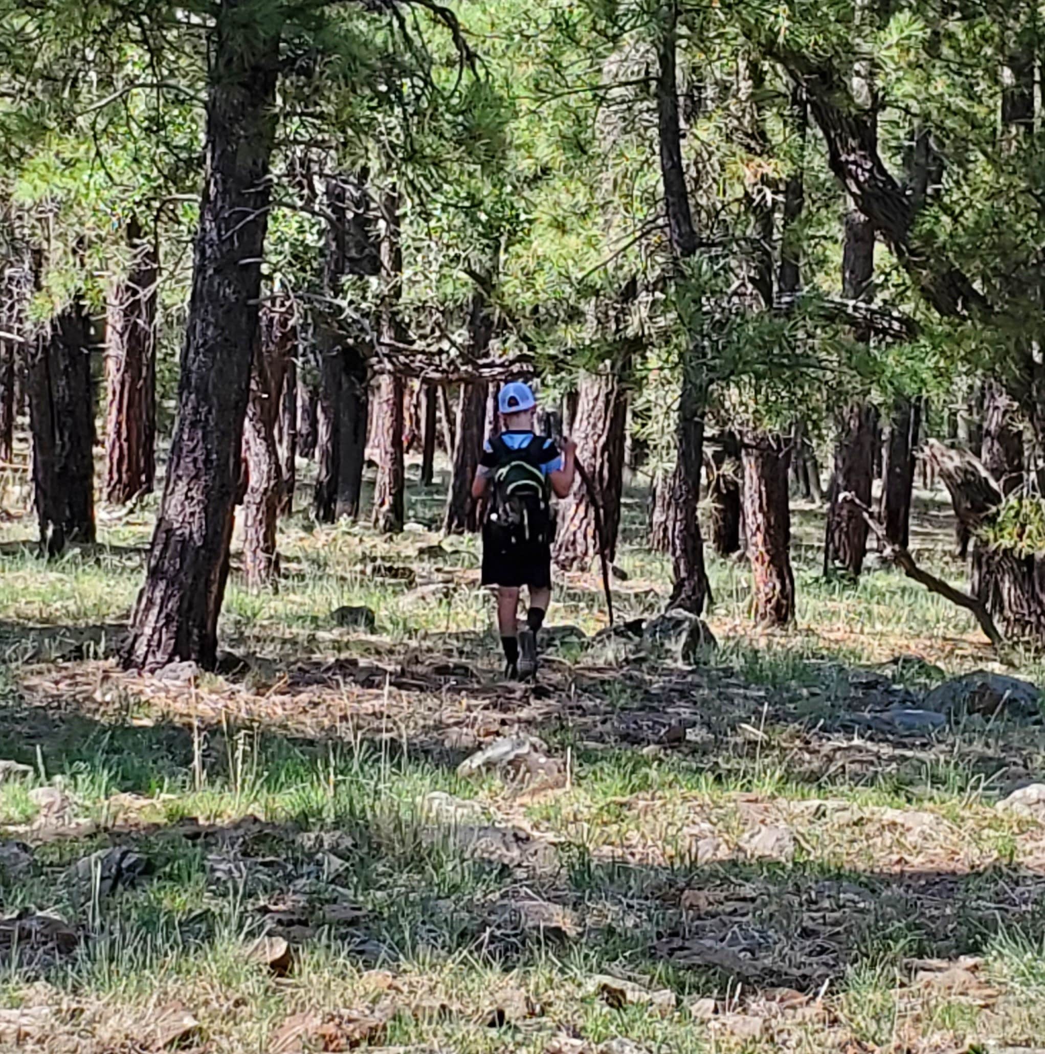 Dispersed Camping FS 124 | Mormon Lake, AZ