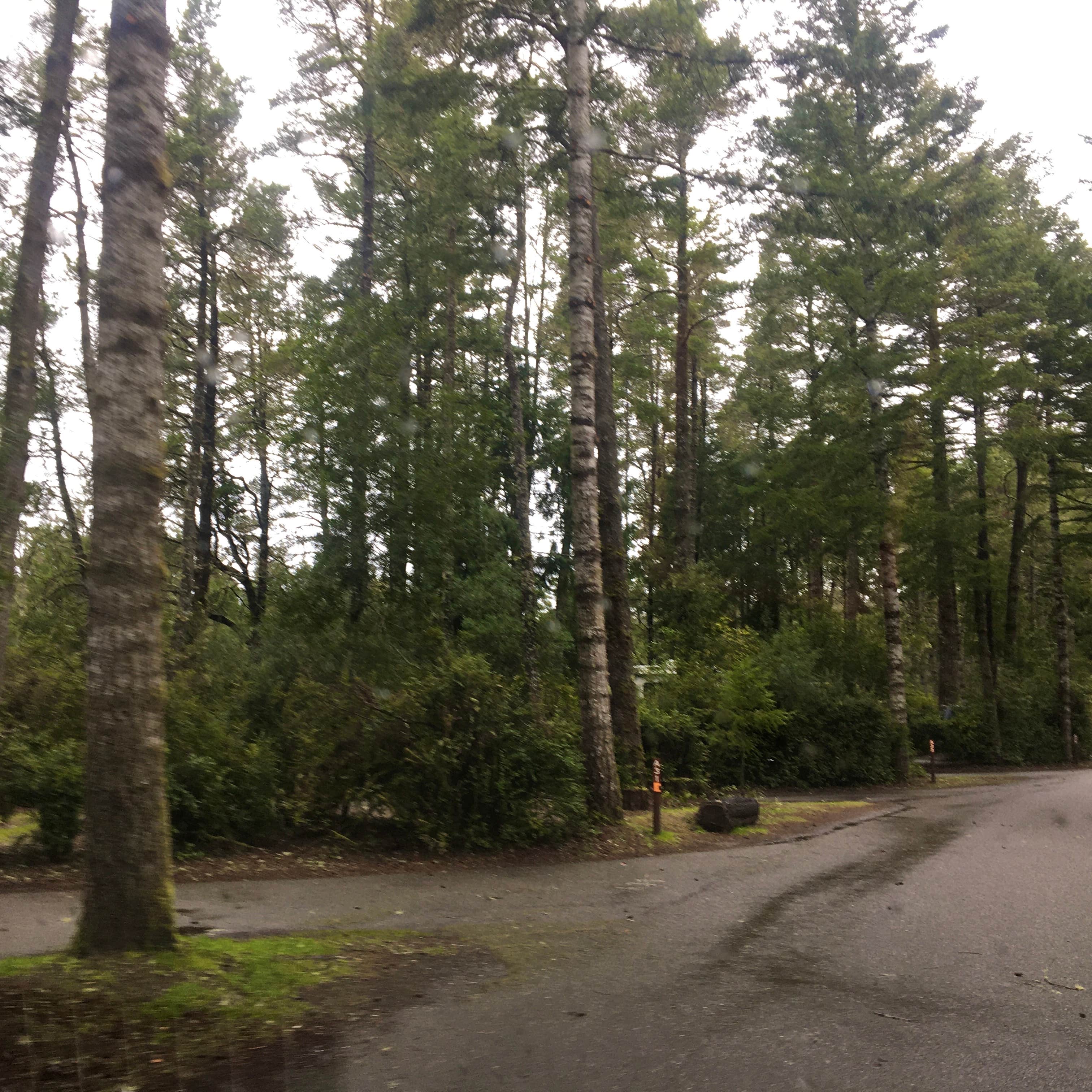 William M. Tugman State Park Camping | The Dyrt