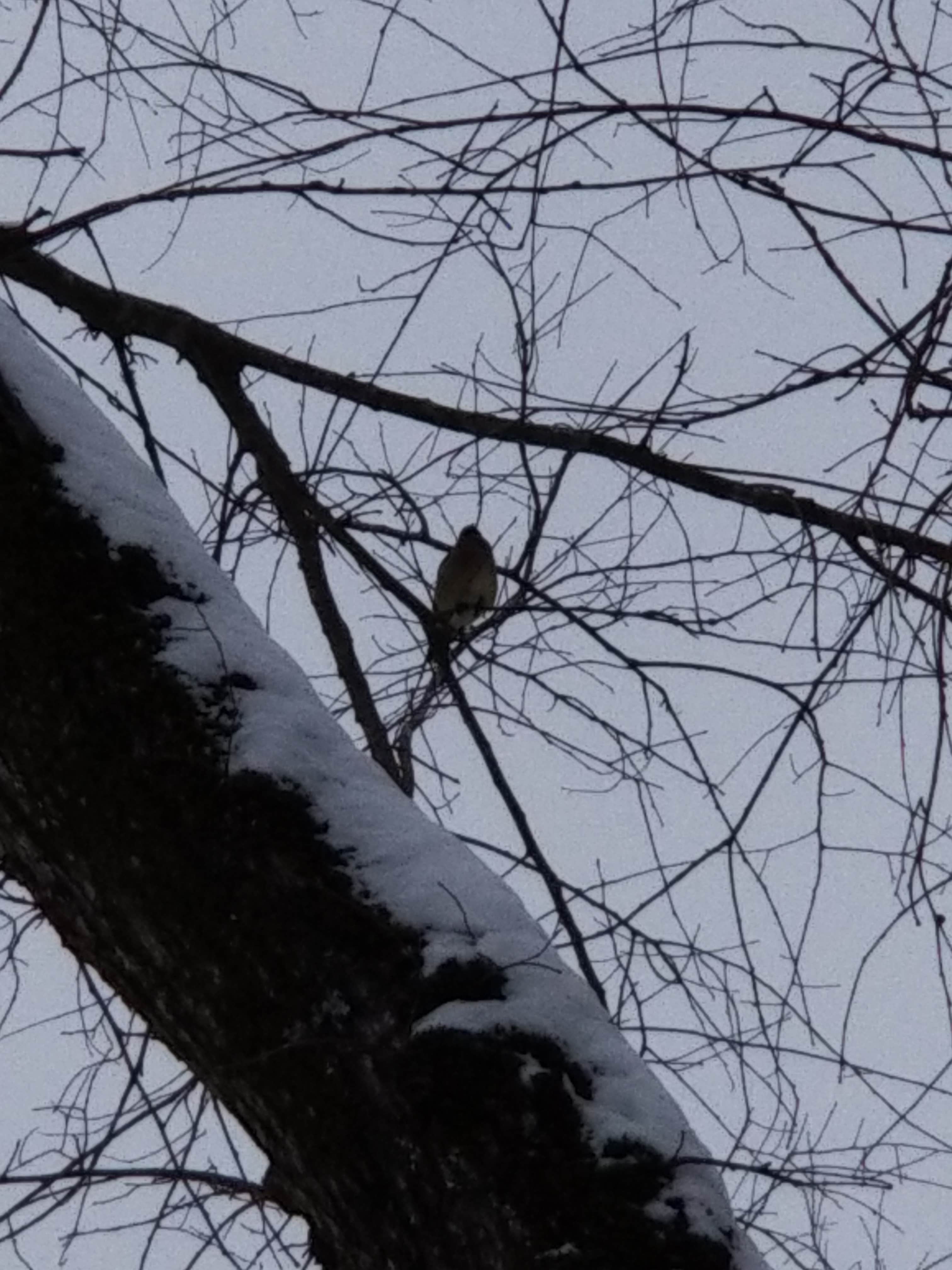 Park Ridge RV Campground Camping | The Dyrt