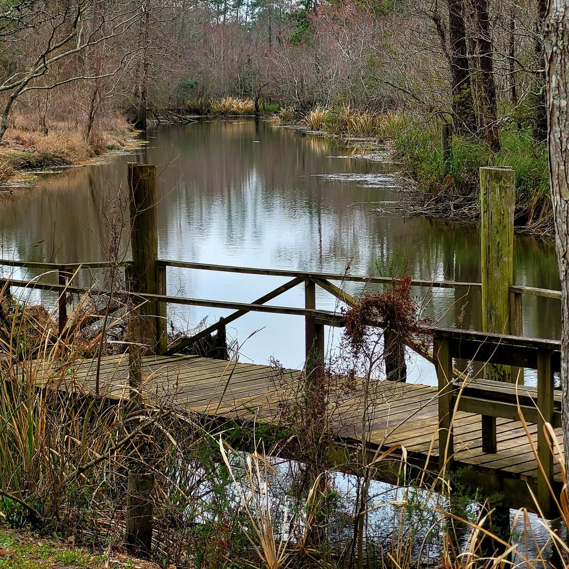 Wolf River Resort Camping | Pass Christian, Mississippi