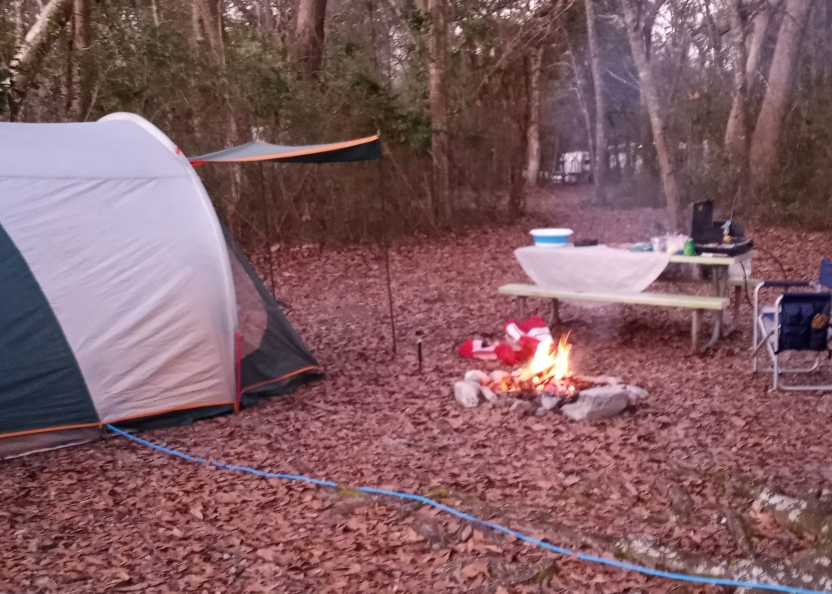 Shepard State Park Camping | The Dyrt