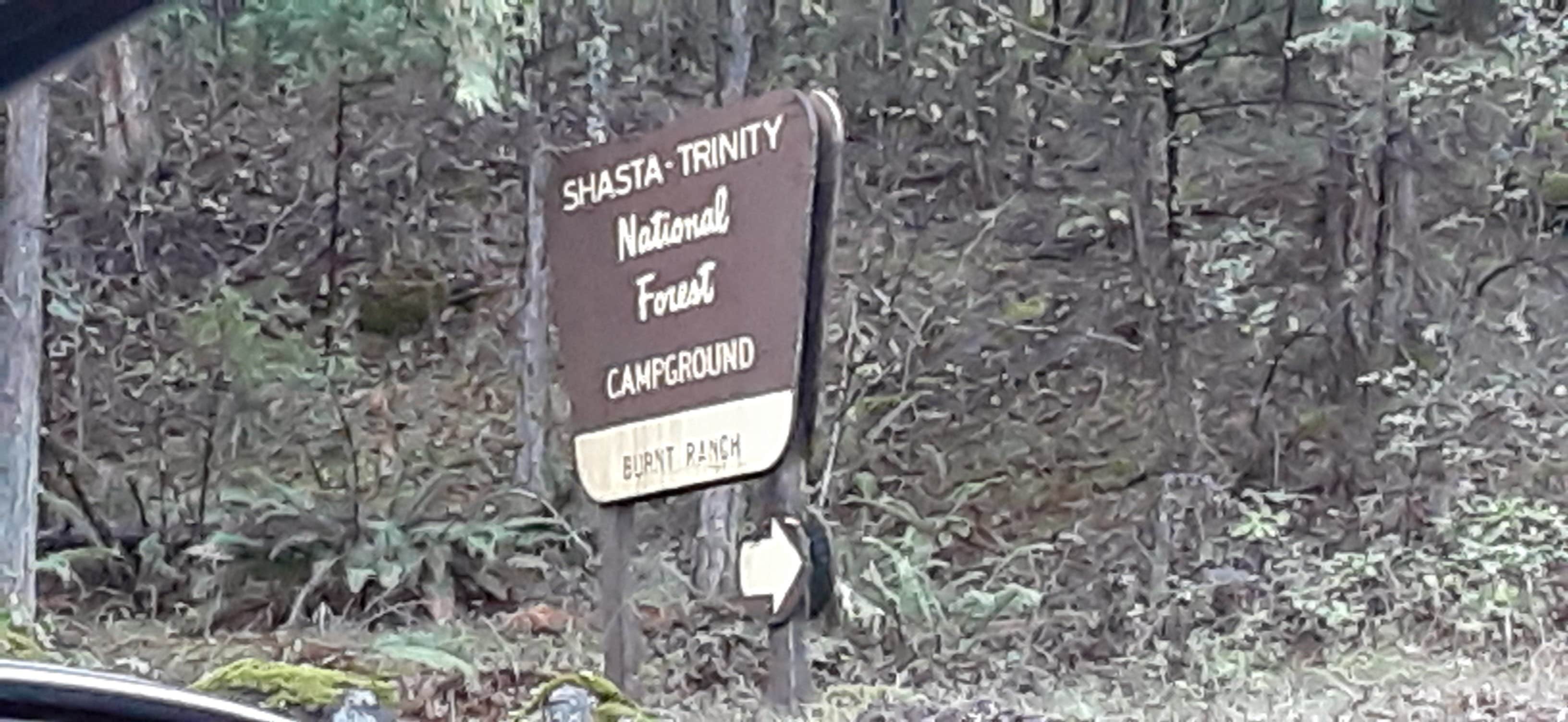 Burnt Ranch Campground | Burnt Ranch, CA