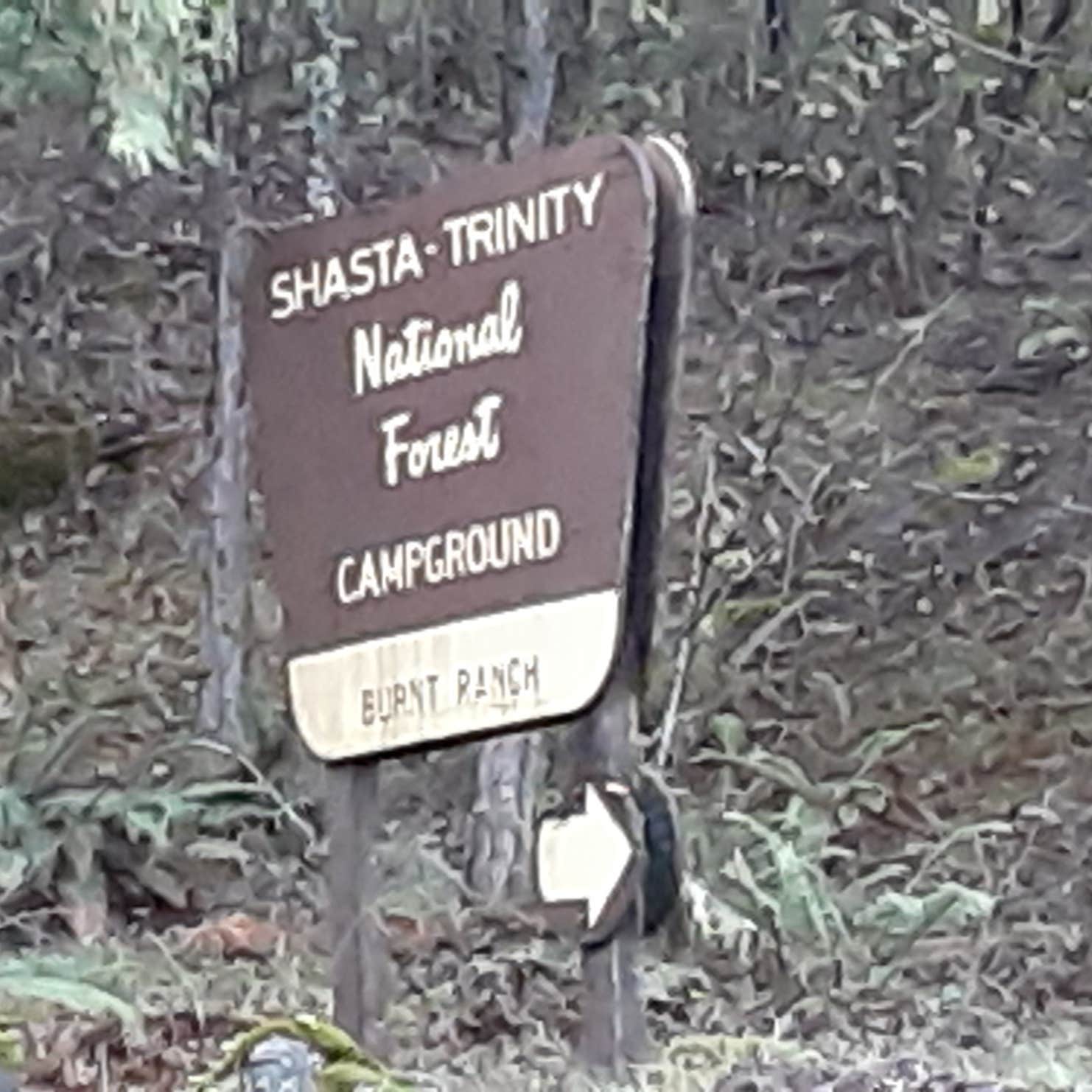 Burnt Ranch Campground | Burnt Ranch, California