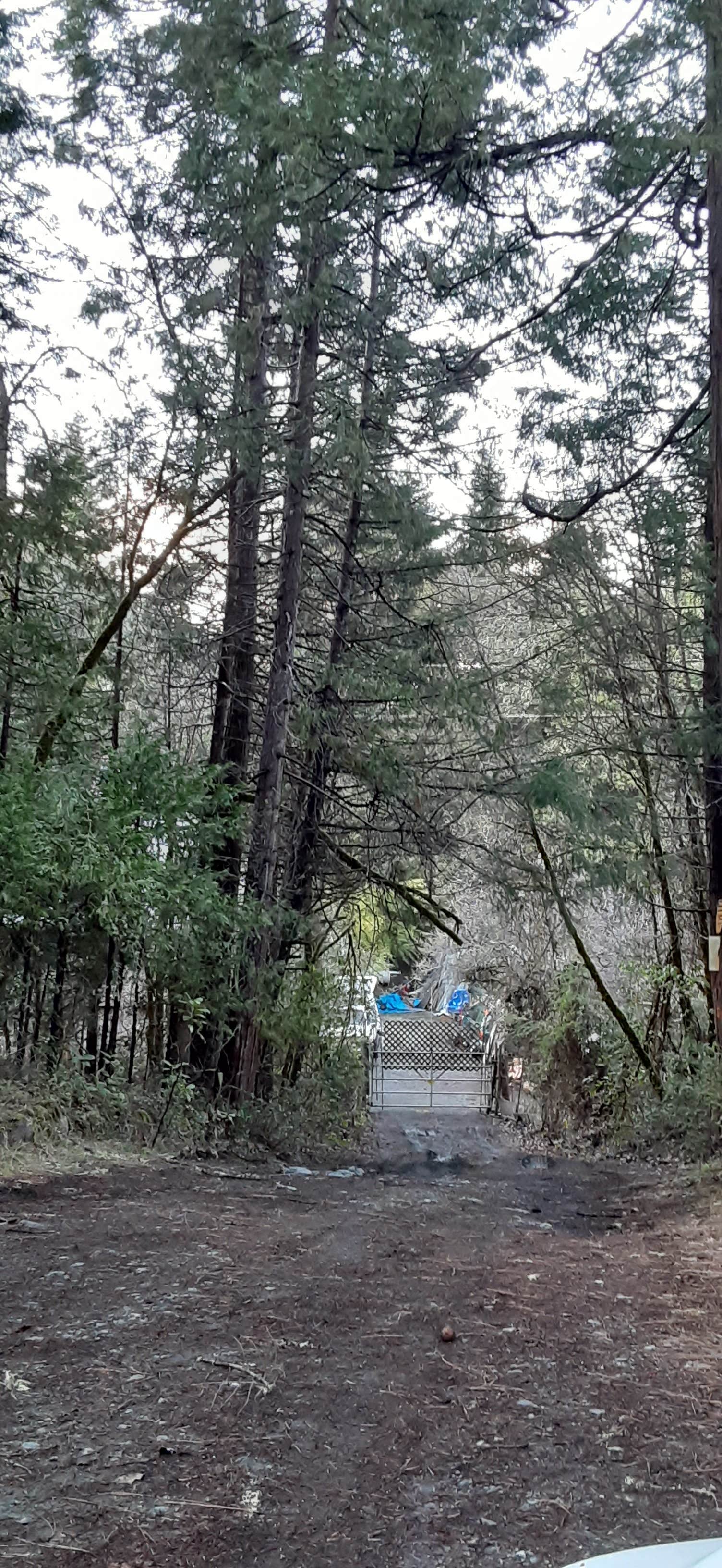 Burnt Ranch Campground | Burnt Ranch, CA