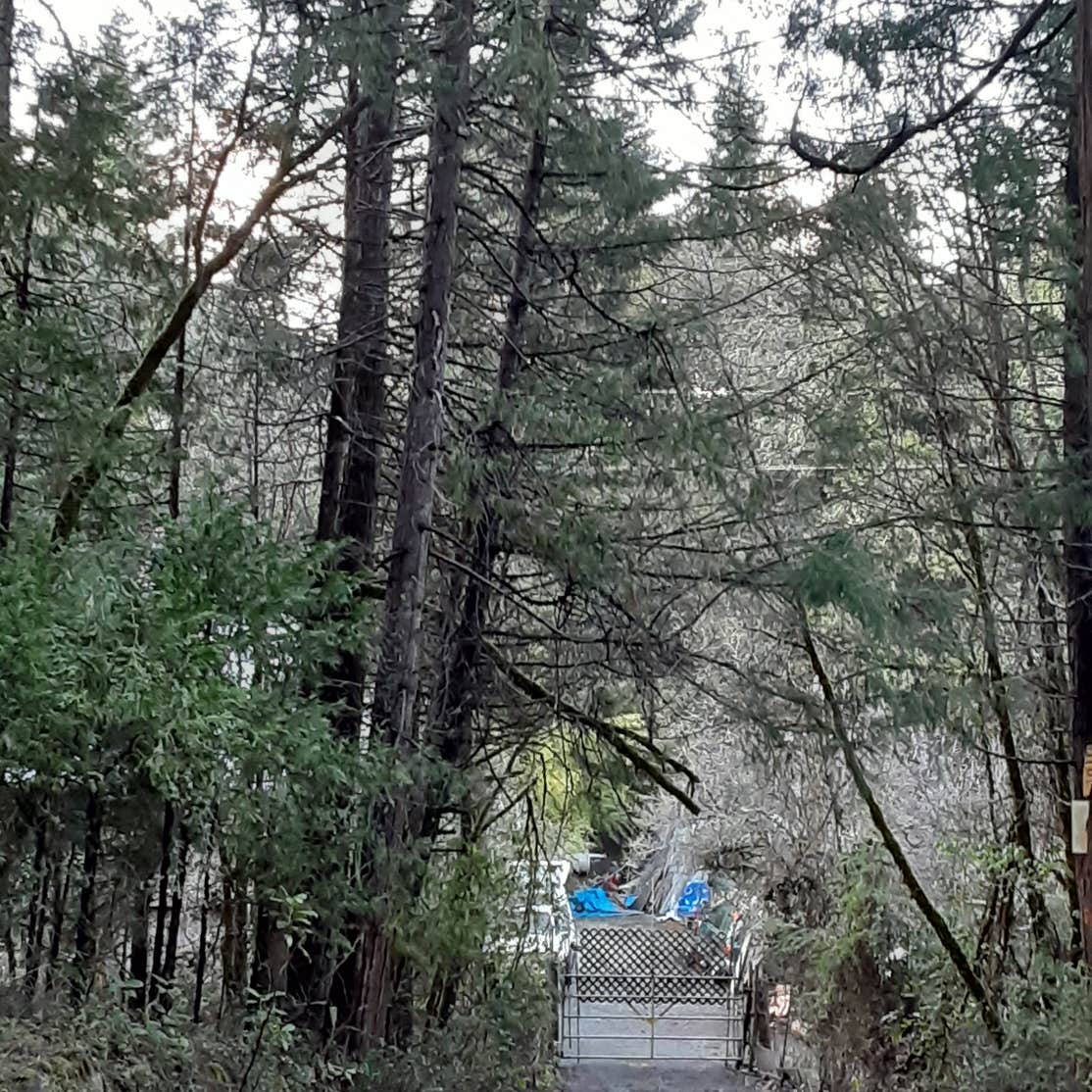 Burnt Ranch Campground | Burnt Ranch, California